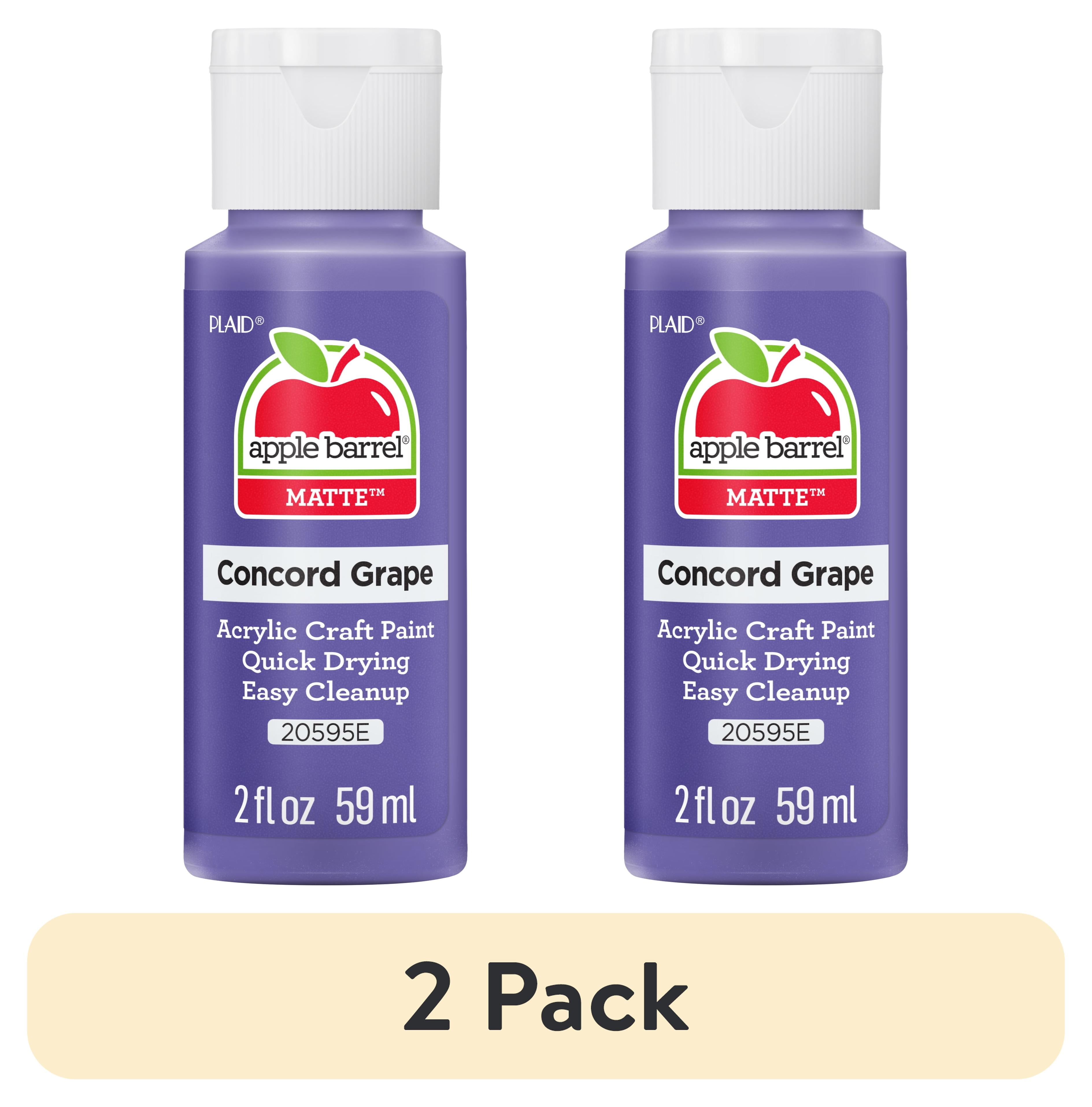 (2 pack) Apple Barrel 20595EX Acrylic Craft Paint, Matte Finish ...