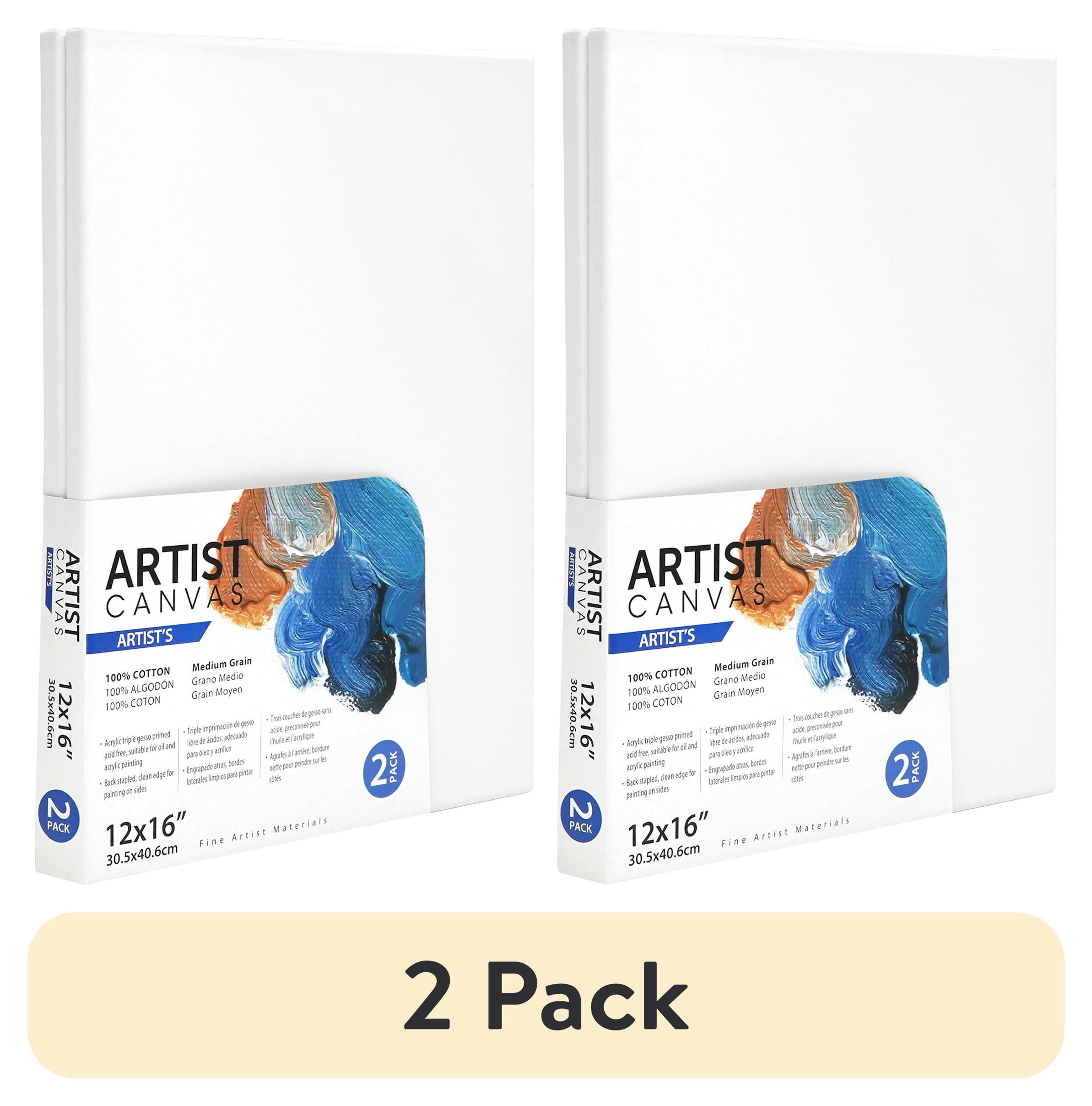 (2 pack) Artist Stretched Canvas, 100% Cotton Acid Free White Canvas ...
