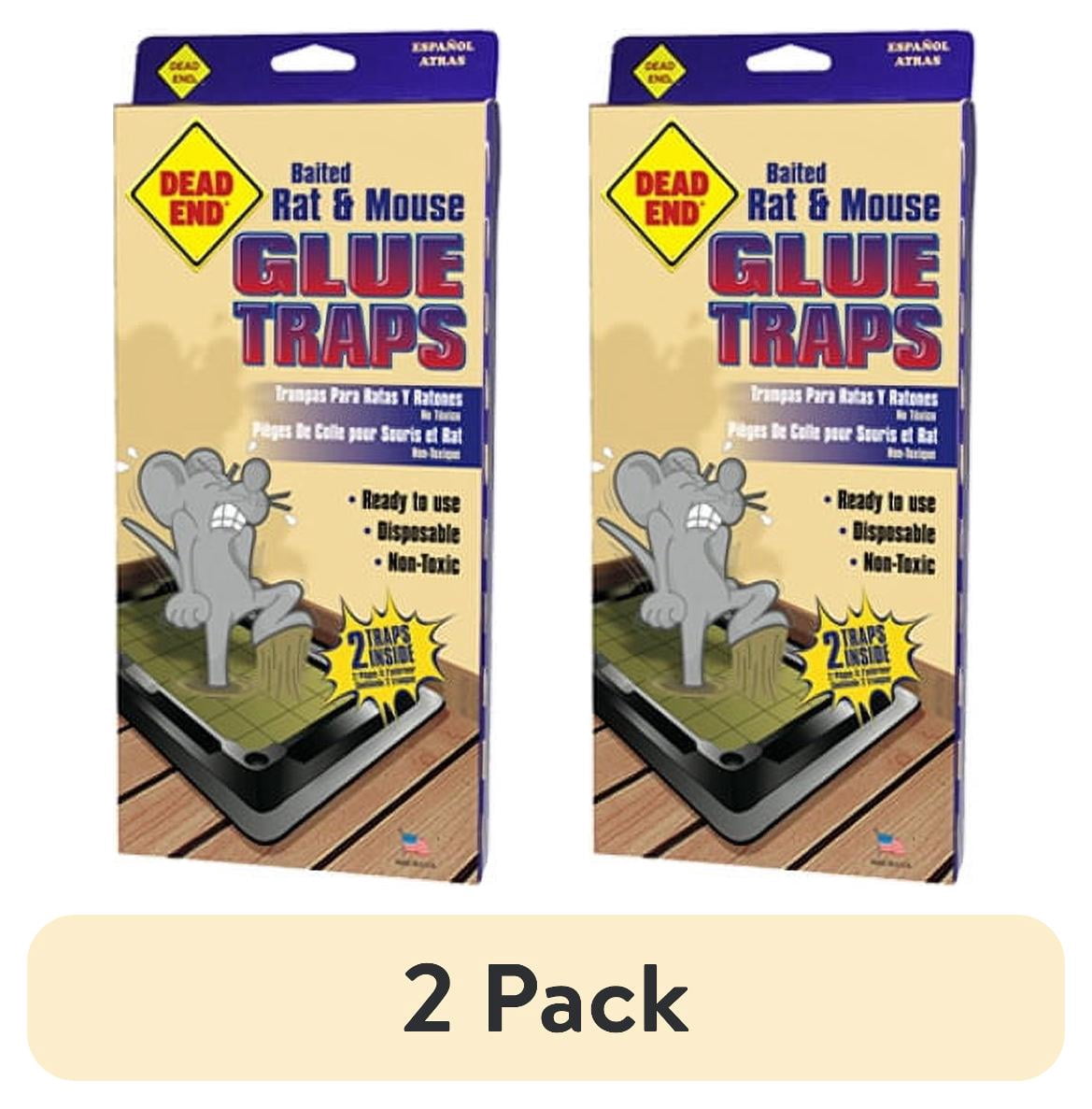 (2 pack) Atlantic Paste & Glue Dead End Rat Traps - 2 Pack, Pack of 12 ...