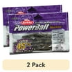 Berkley PowerBait® MaxScent The General Fishing Bait, June Bug, 4in ...