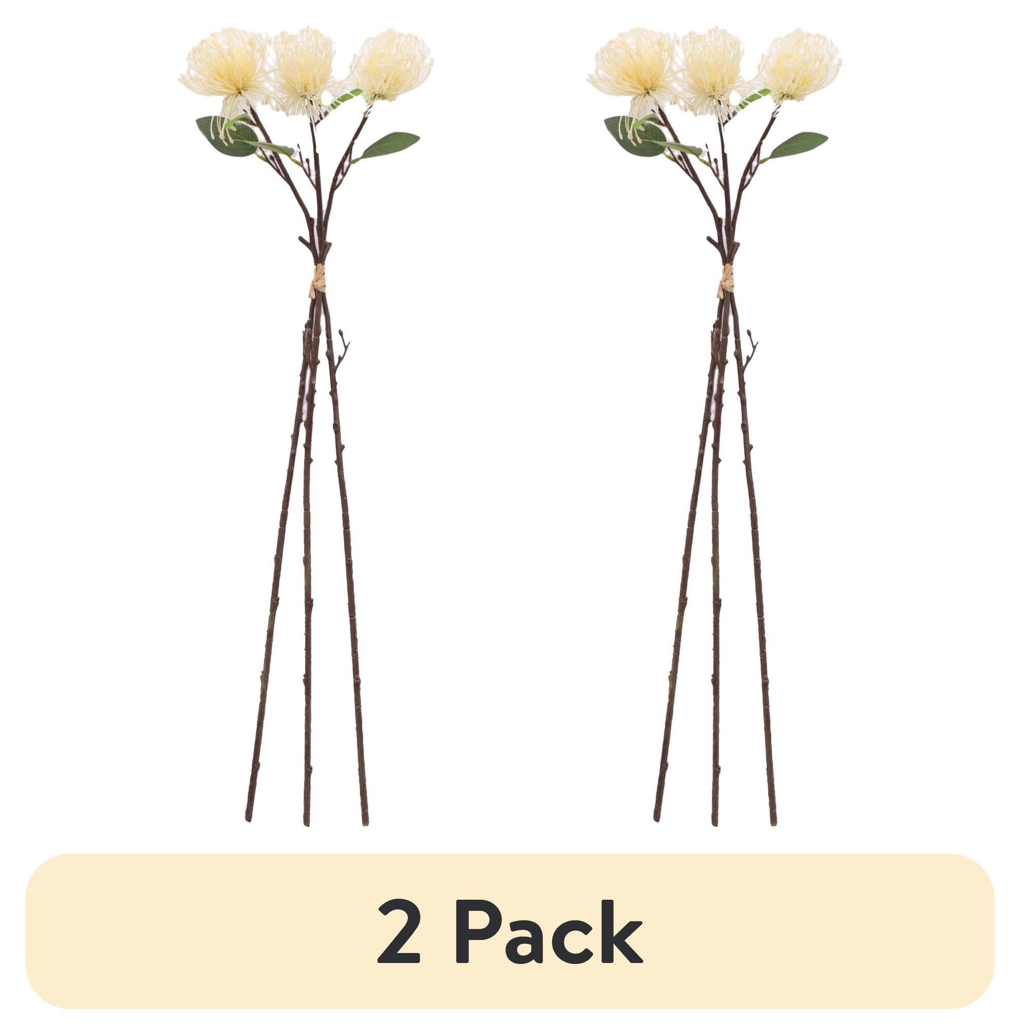 Better Homes & Gardens 29in Artificial Dried White Floral Stems Set of ...