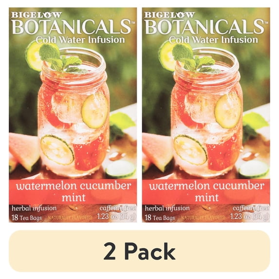(2 pack) Bigelow Botanicals, Cold Water Infusion Tea Bags, Watermelon ...