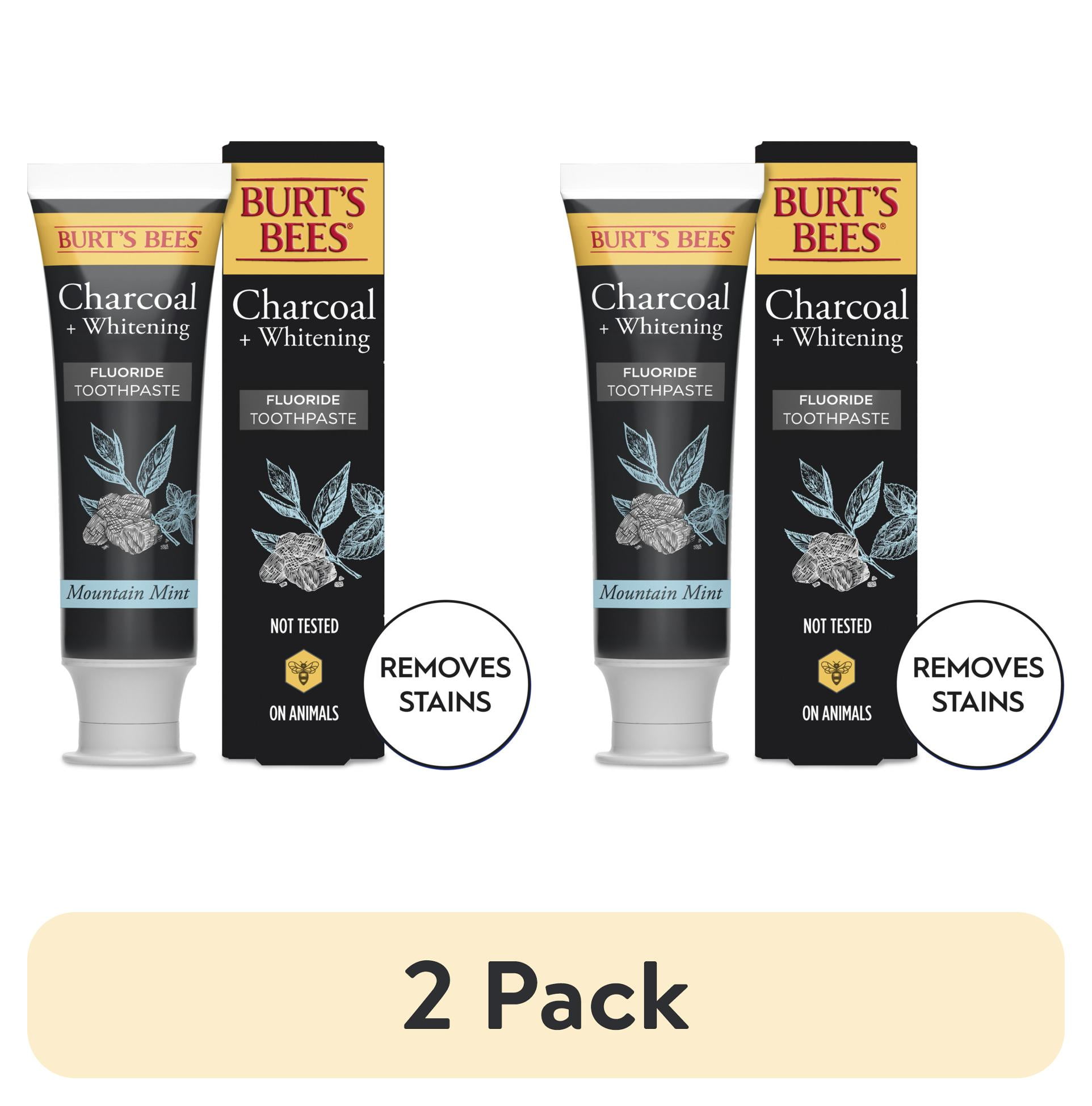 (2 pack) Burt's Bees Toothpaste, Natural Flavor, Charcoal with Fluoride ...