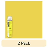 COLORSHOT Premium Multi-Surface Metallic Treasure Chest Spray Paint - 9 ...