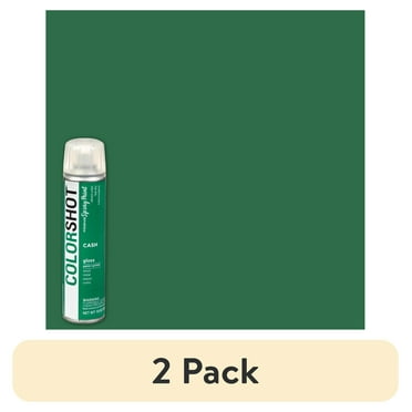 (2 pack) COLORSHOT Premium Multi-Surface Glosss Rainy Day Spray Paint ...