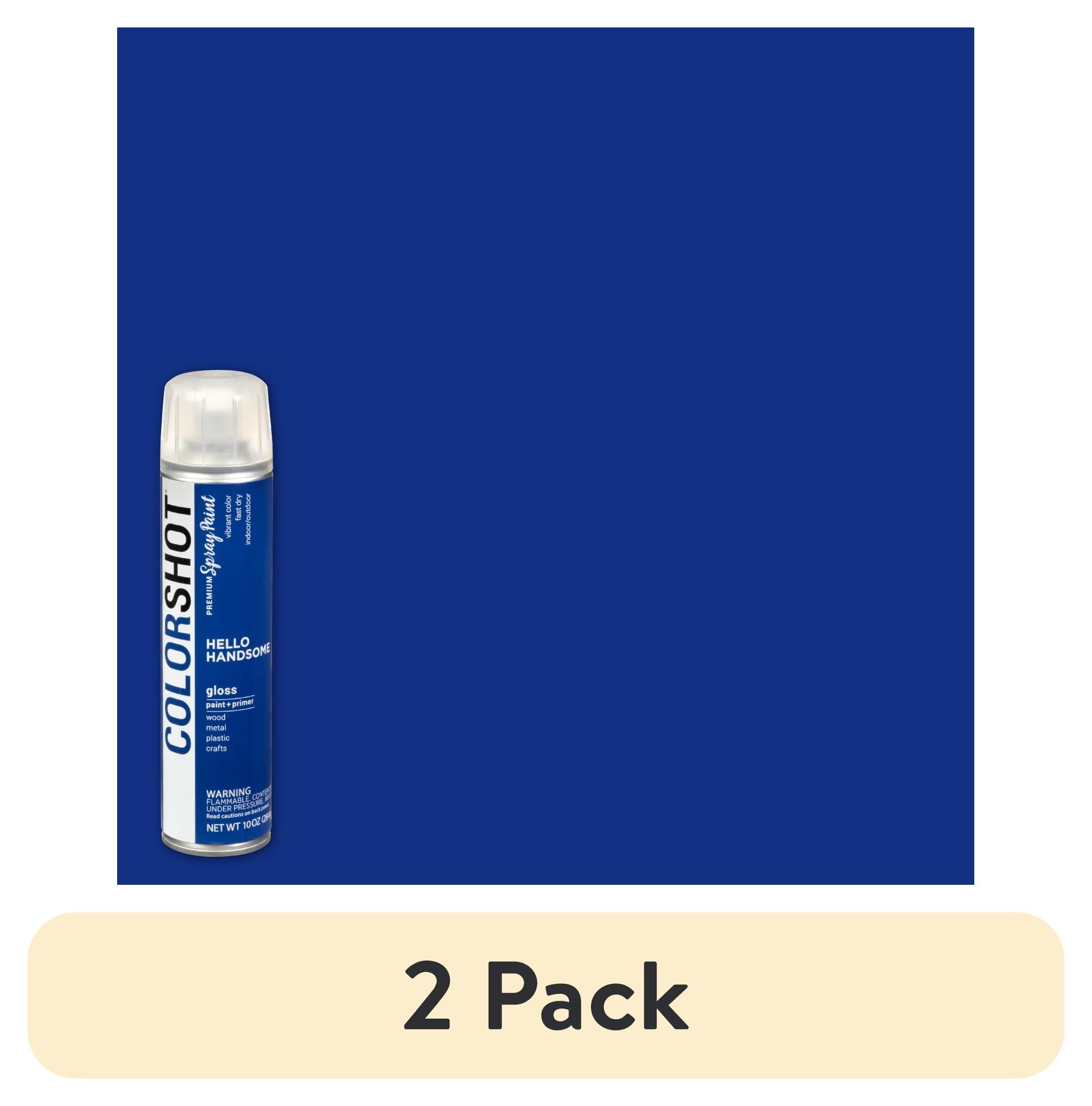(2 pack) COLORSHOT Premium Multi-Surface Gloss Hello Handsome Spray ...