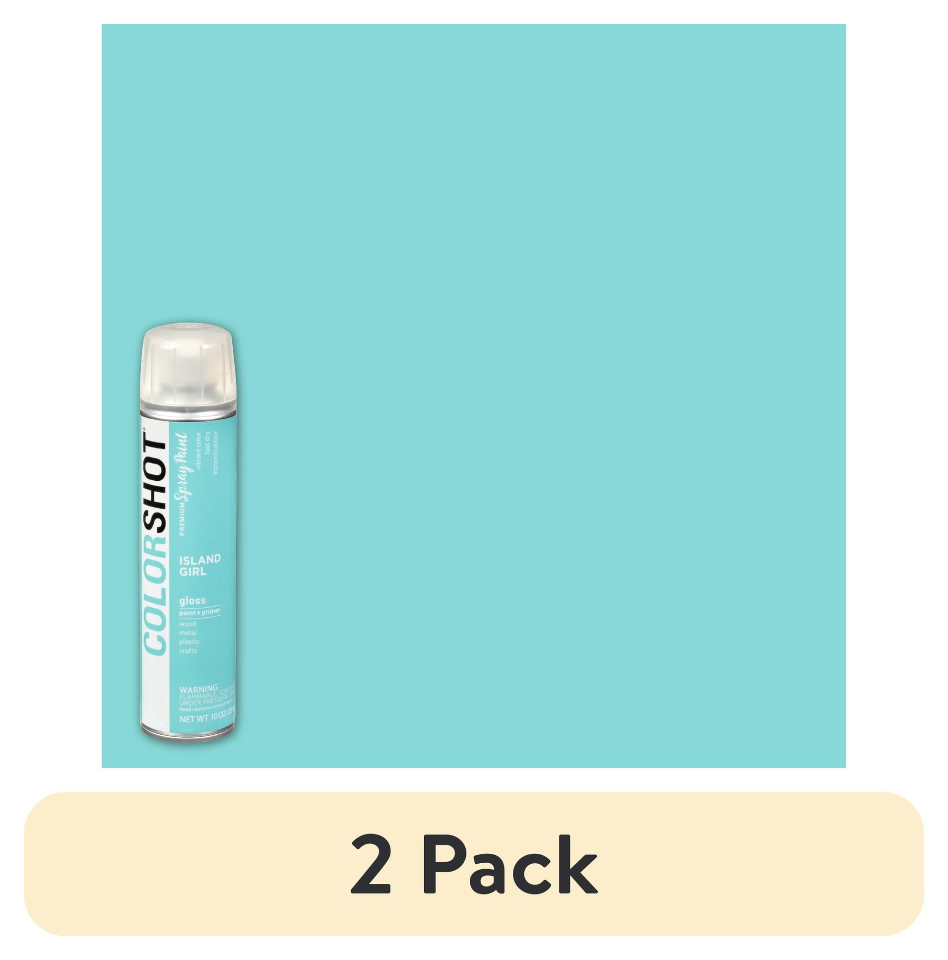 (2 pack) COLORSHOT Premium Multi-Surface Gloss Island Girl Spray Paint ...