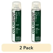 COLORSHOT Premium Multi-Surface Metallic Treasure Chest Spray Paint - 9 ...