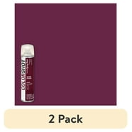 COLORSHOT Premium Multi-Surface Metallic Treasure Chest Spray Paint - 9 ...