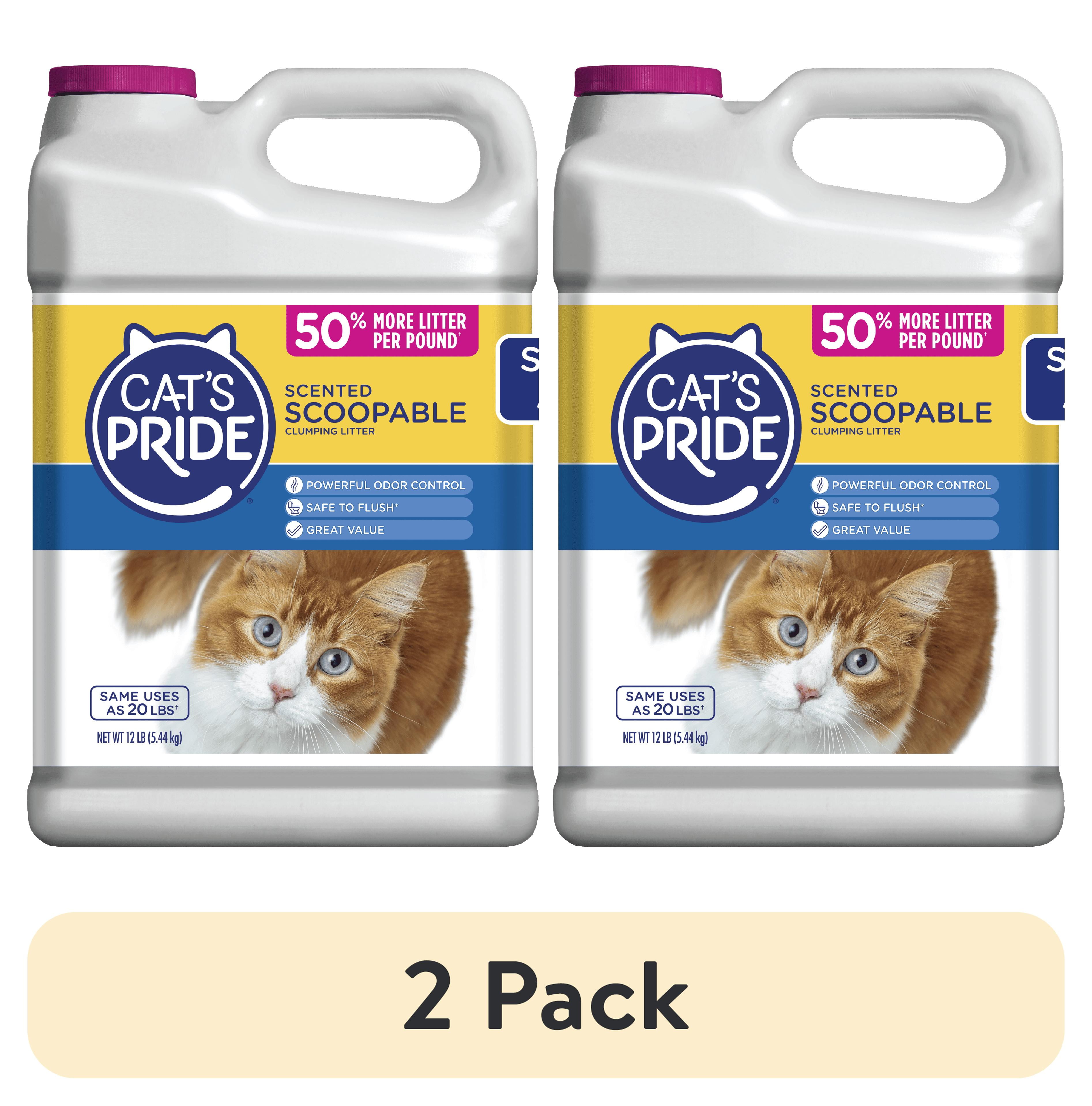 (2 pack) Cat's Pride Scented Scoopable Cat Litter, 12 lb Jug - Walmart.com