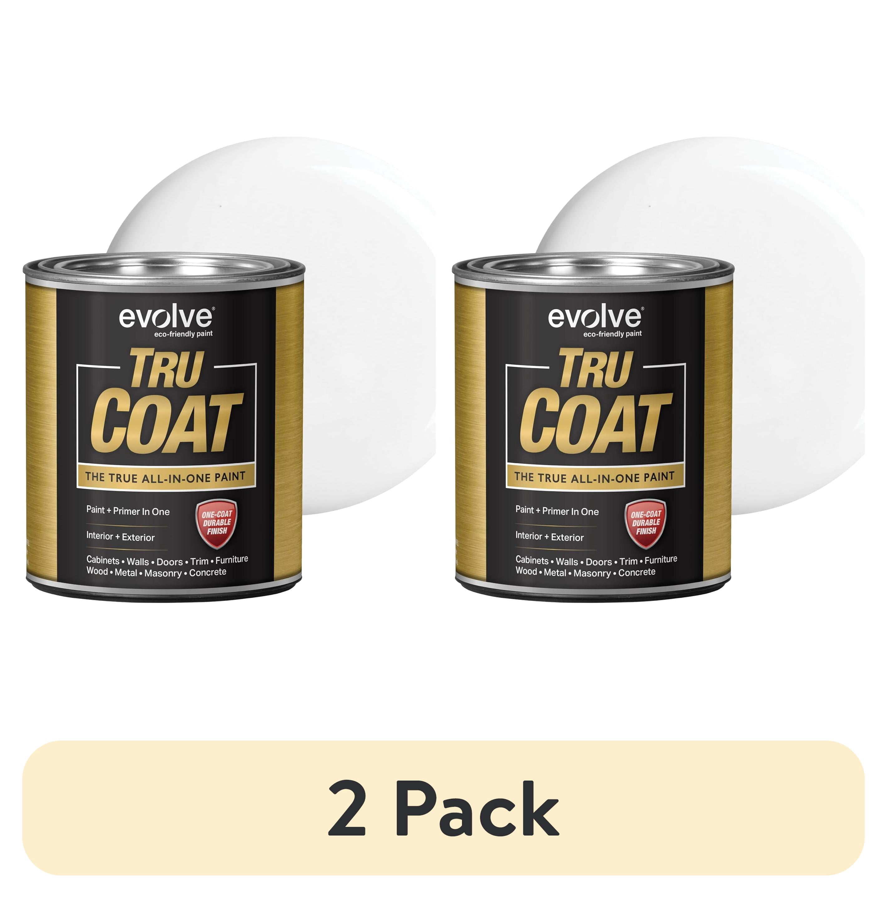 (2 pack) Evolve Tru Coat Cloud White Semi-Gloss Acrylic Latex All in ...