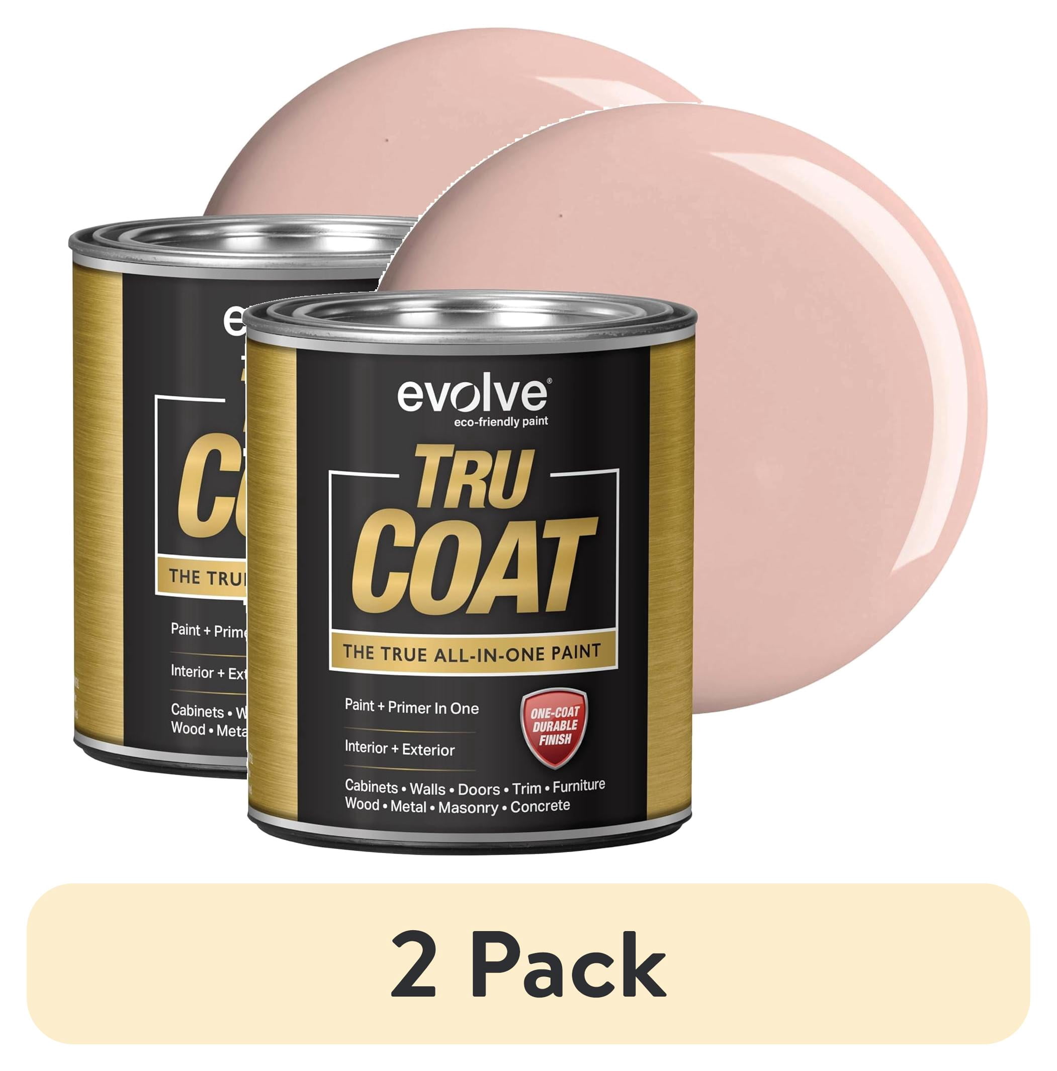 (2 pack) Evolve Tru Coat Dusky Pink Matte Acrylic Latex All in One ...
