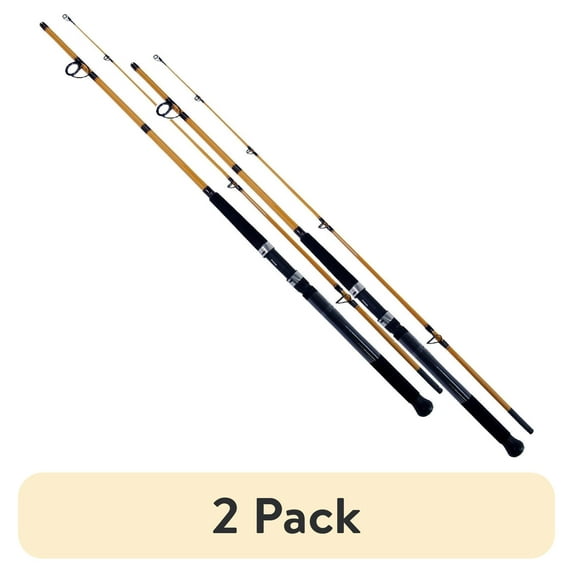 Free Shipping! Daiwa FT Surf Spinning Rod 2 Pack 8'0 Medium Action ...