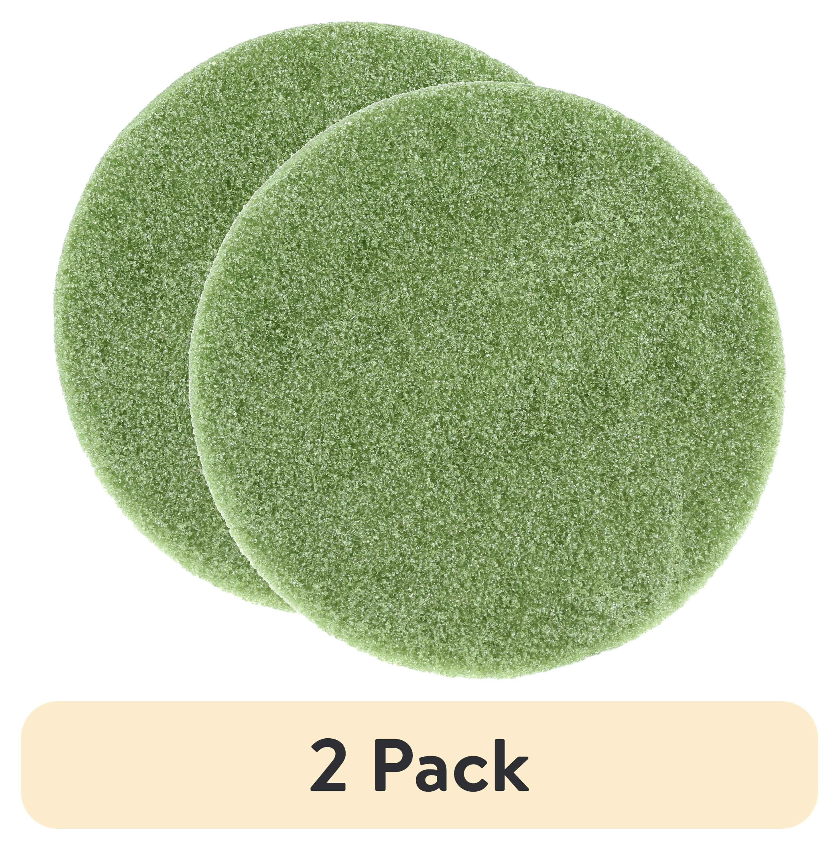 (2 pack) FloraCraft FloraFōM Foam Disc 1.9 inch x 9.8 inch Green ...