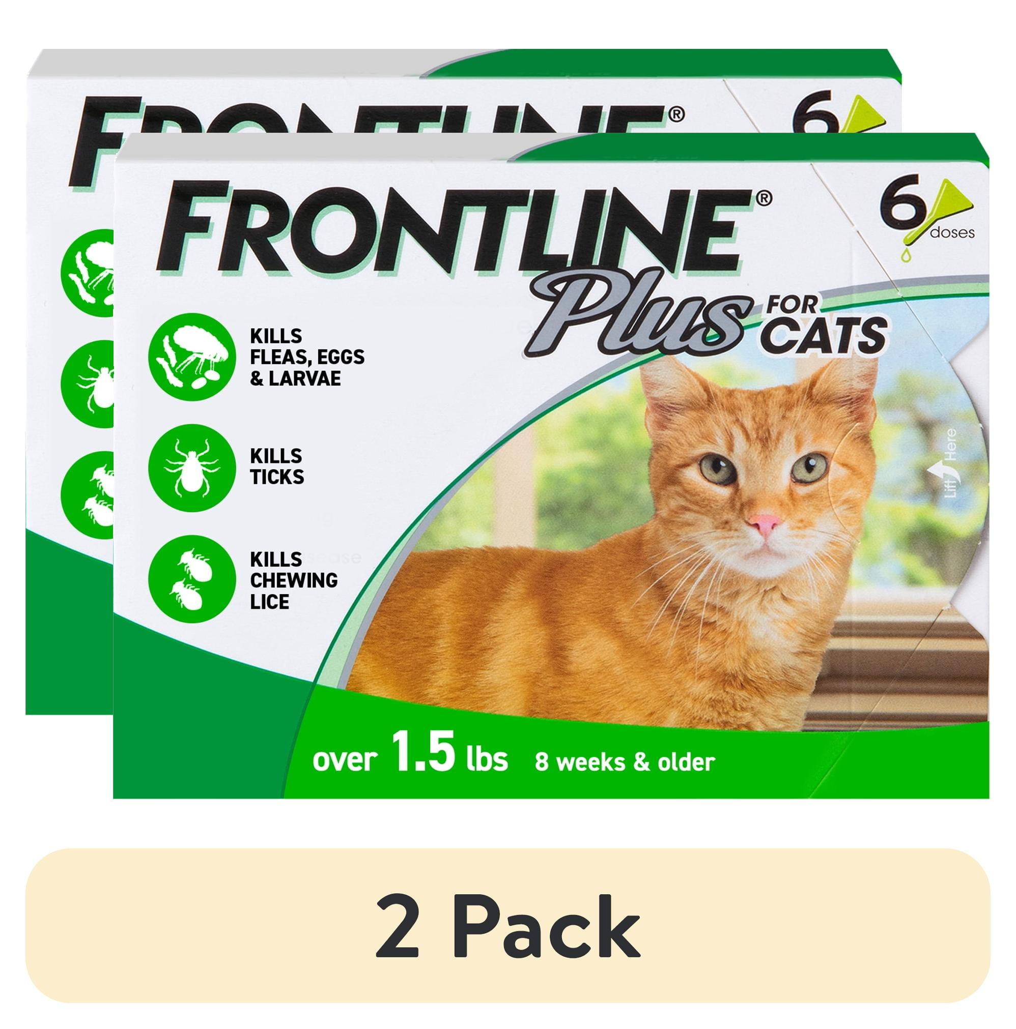 (2 pack) FRONTLINE Plus for Cats and Kittens Flea and Tick Treatment, 6 ...