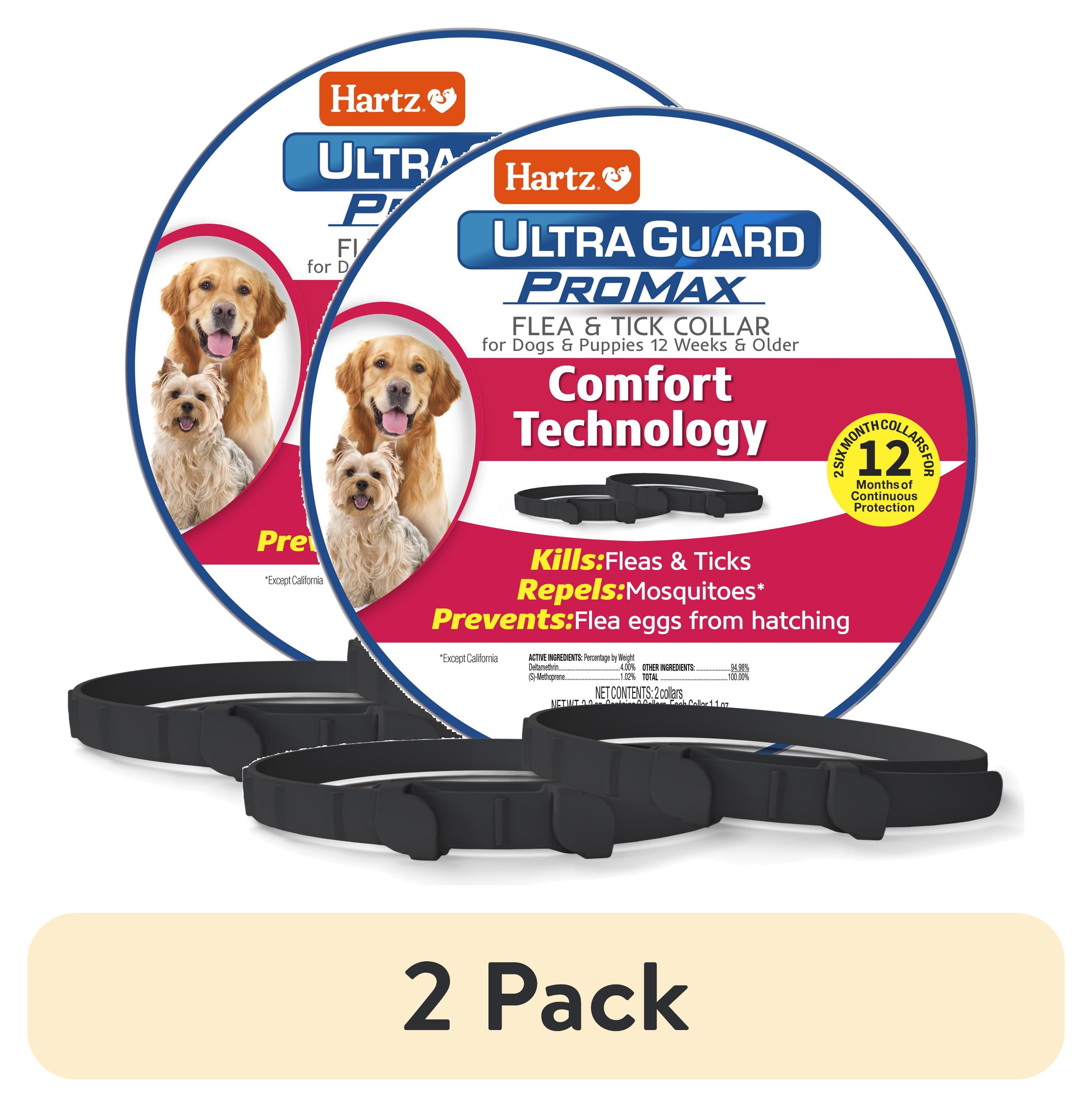 (2 pack) Hartz UltraGuard ProMax Flea & Tick Collar for Dogs & Puppies ...