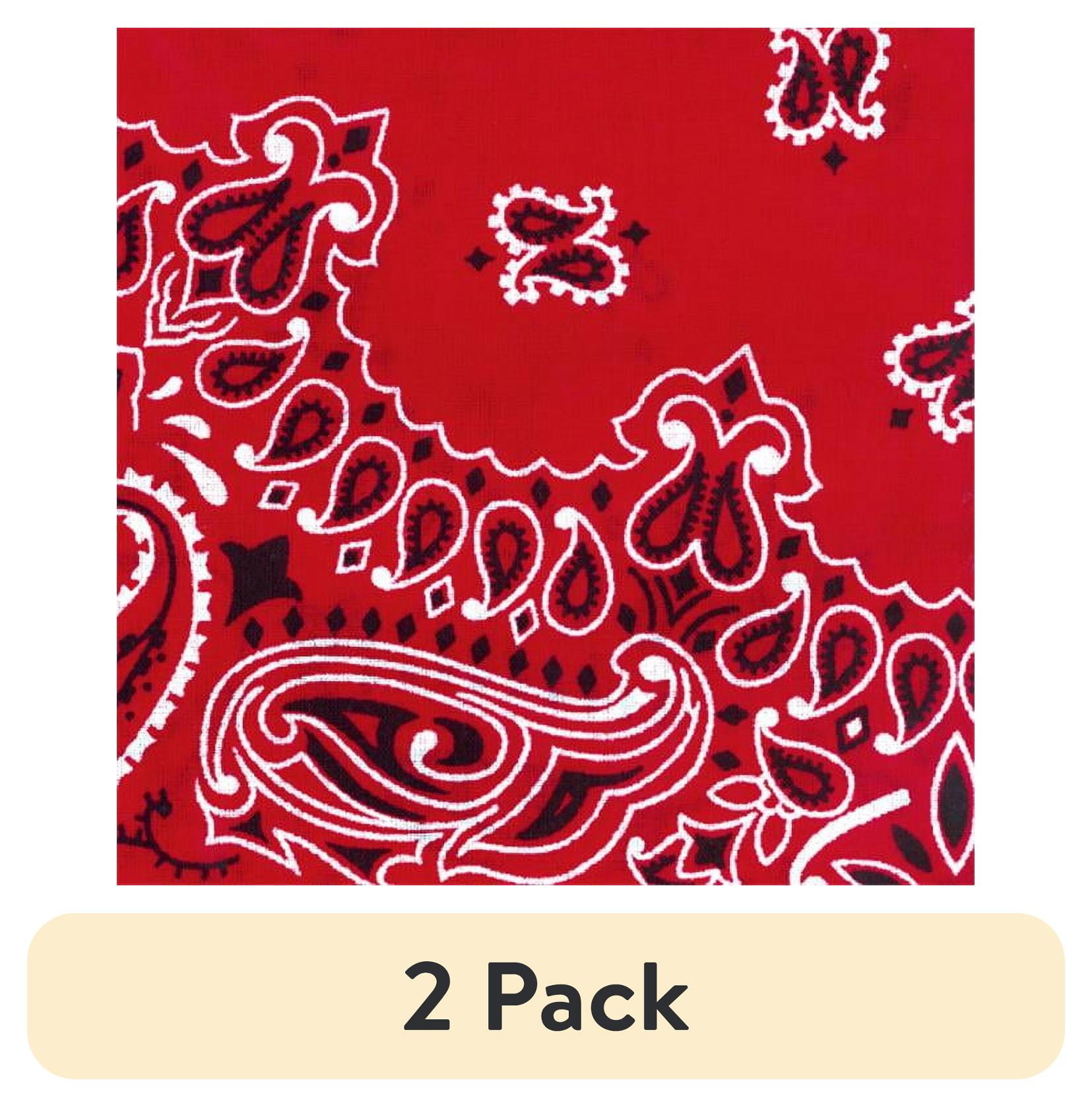 (2 pack) Carolina Hav-A-Hank Paisley Bandanna 22"X22"-Red - Walmart.com
