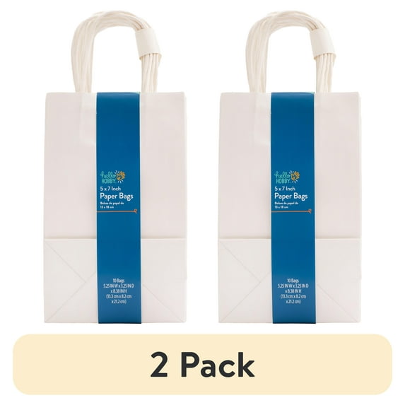 (2 pack) Hello Hobby Solid Small White Paper Bag, 10 Count - Arts and ...