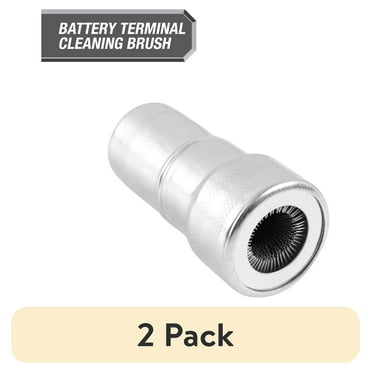 EverStart Plus Lead Acid Automotive Battery, Group Size 25 12 Volt, 550 ...