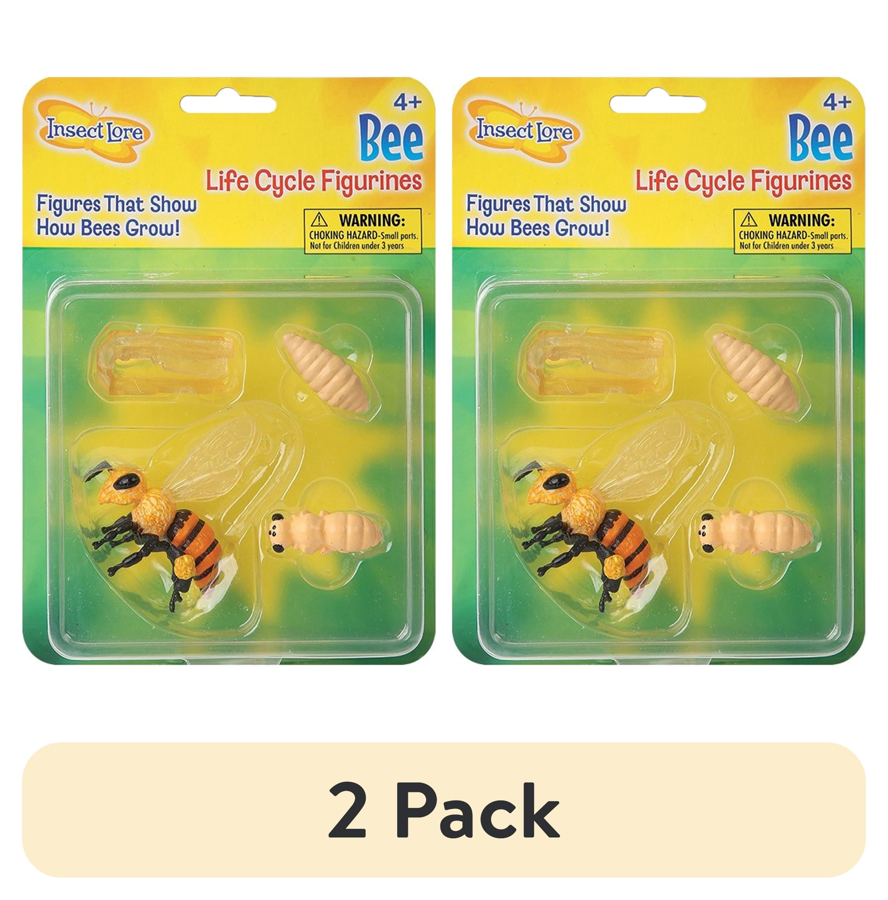 (2 pack) Insect Lore Honey Bee Life Cycle Stages Science Model ...