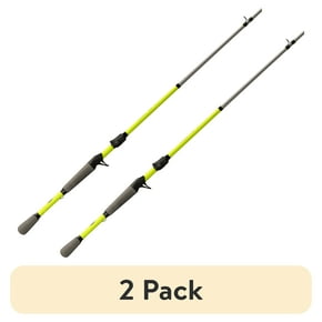 Best Sellers In Fishing Rods
