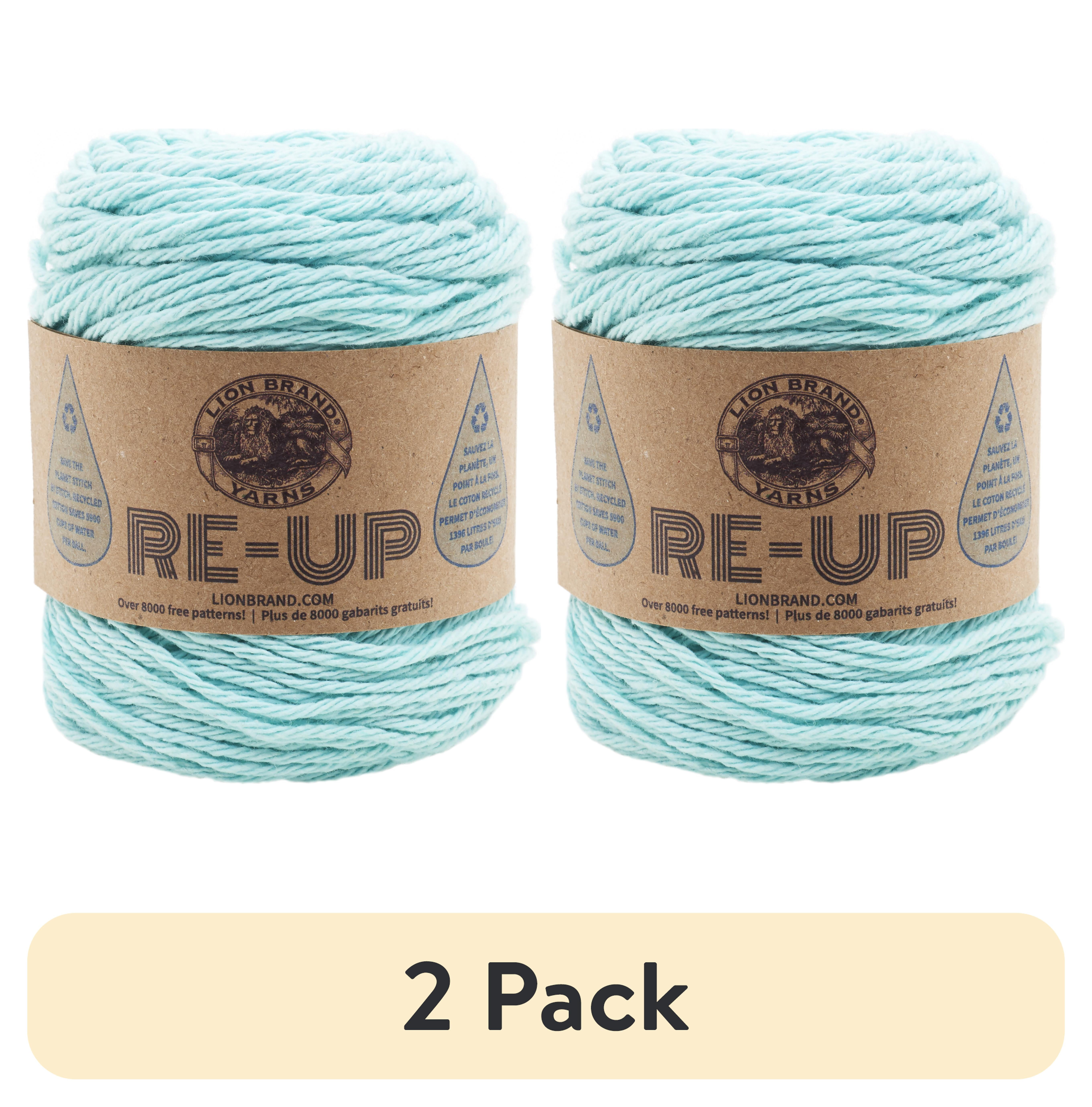 (2 pack) Lion Brand Re-Up Yarn - Aqua - Walmart.com