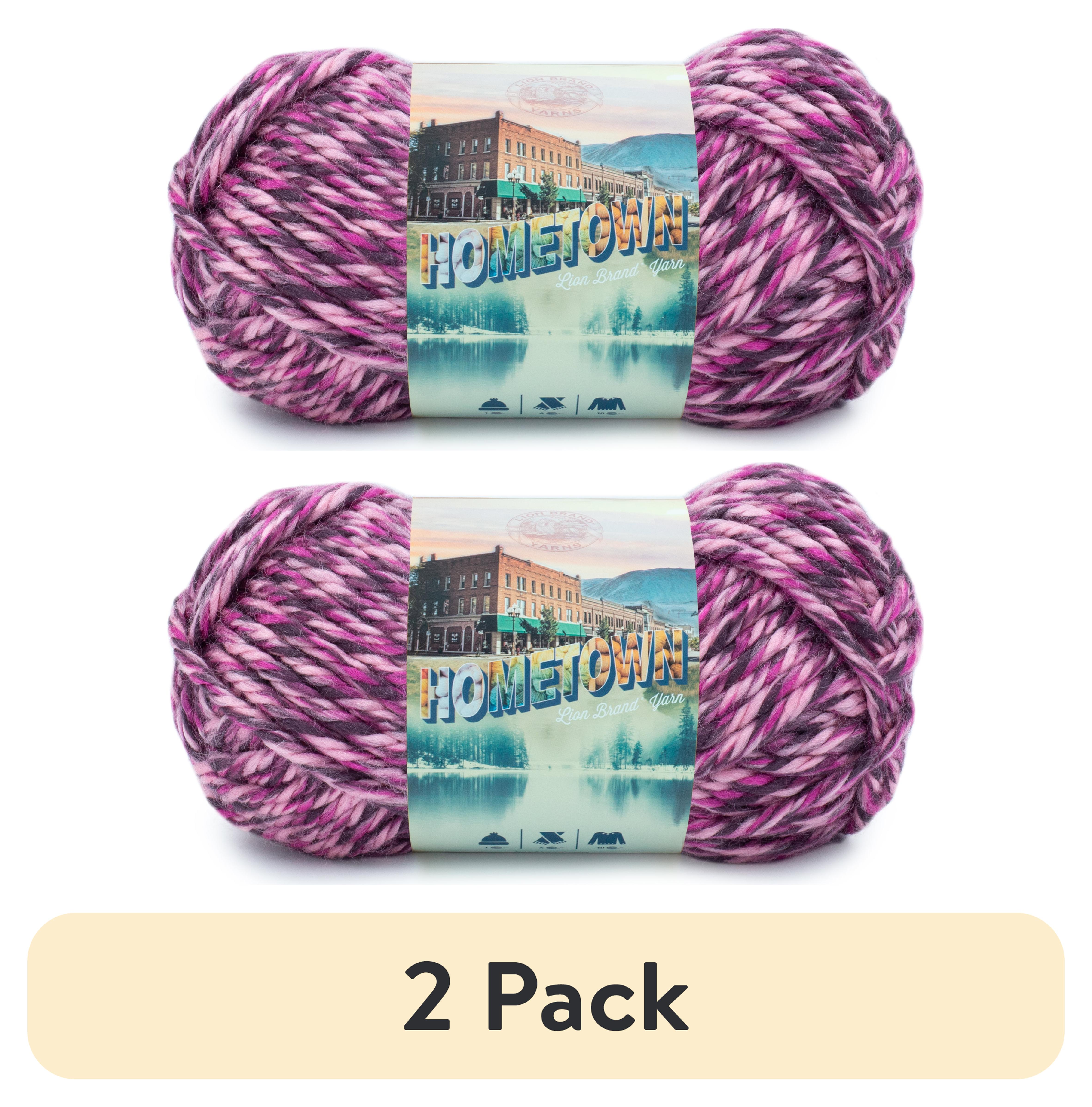 (2 pack) Lion Brand Yarn Hometown Elmore City Dance Super Bulky Acrylic ...
