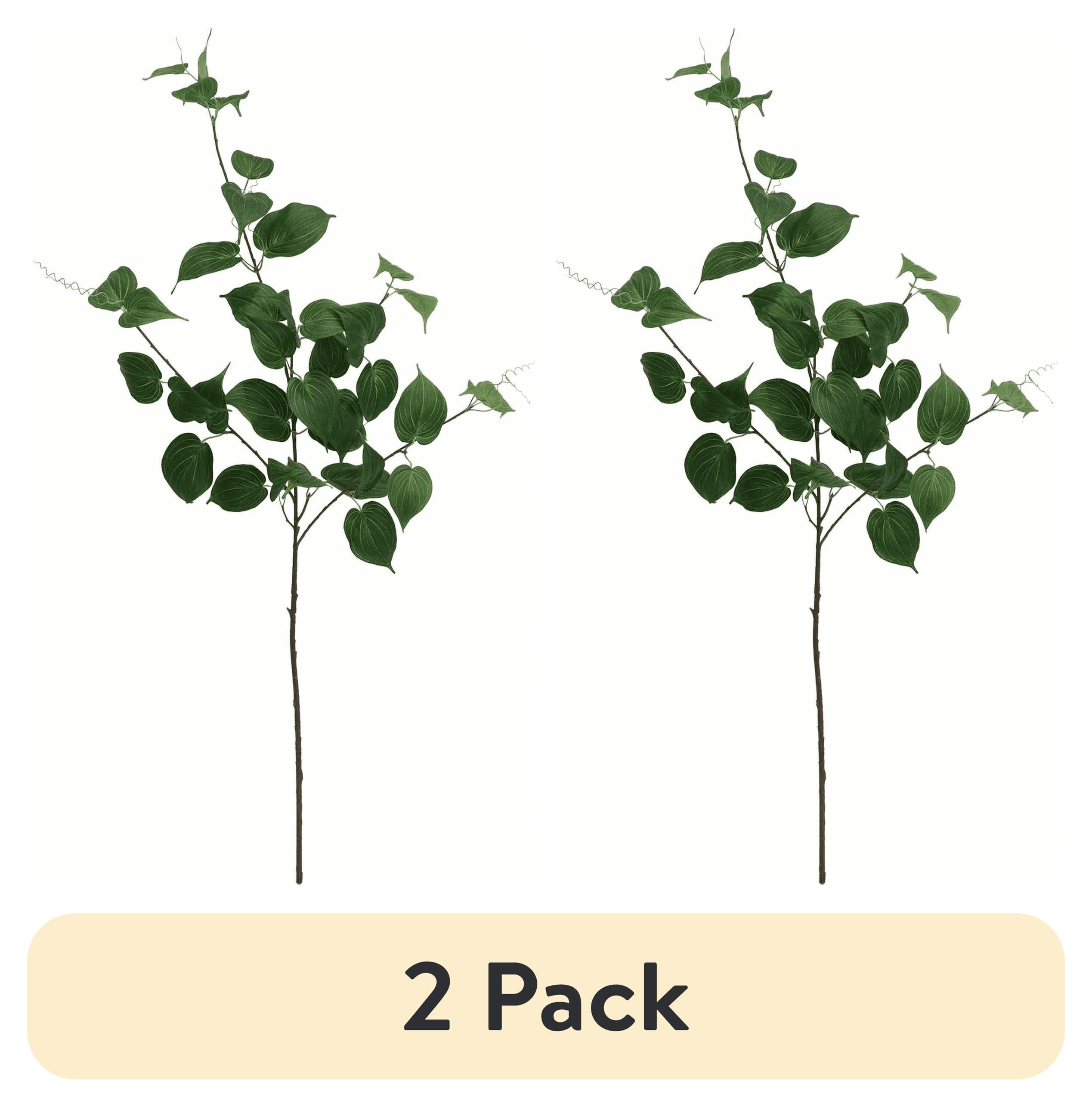 Mainstays 39 Tall Artificial Evergreen Pothos Stem - Walmart.com