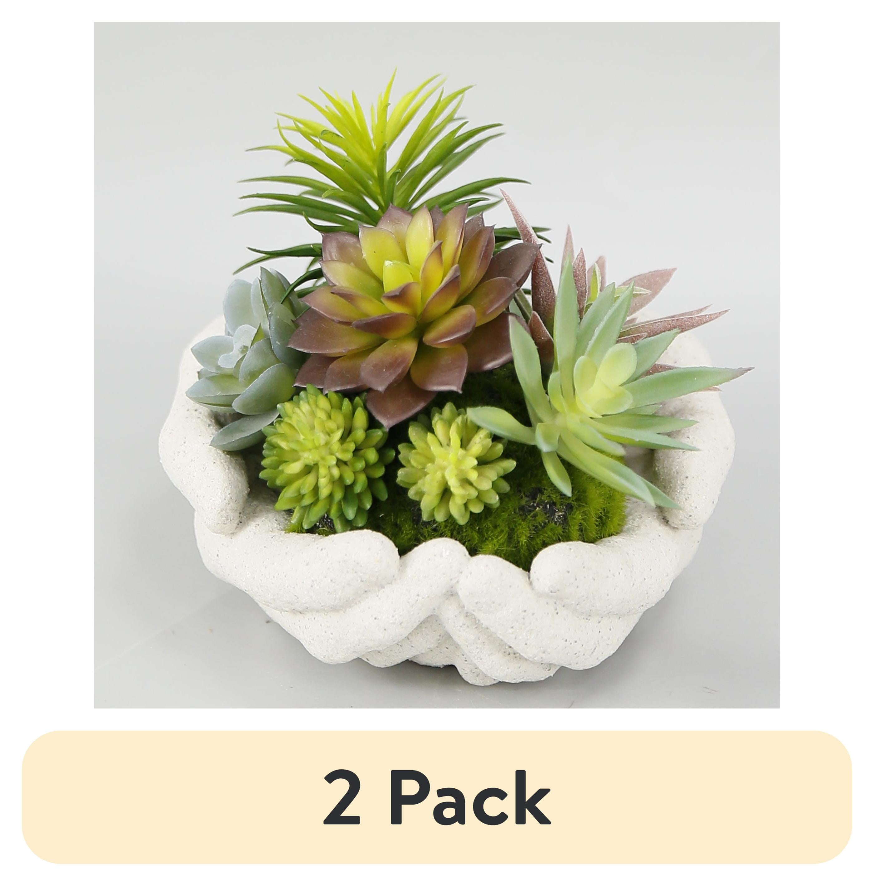 (2 pack) Mainstays Faux Succulent Arrangement in White Ceramic Hands ...