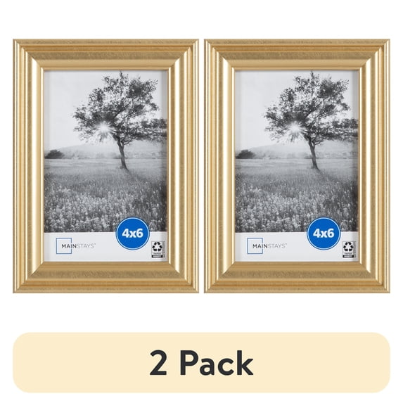 (2 pack) Mainstays 4x6 Traditional Gallery Wall Picture Frame, Gold ...