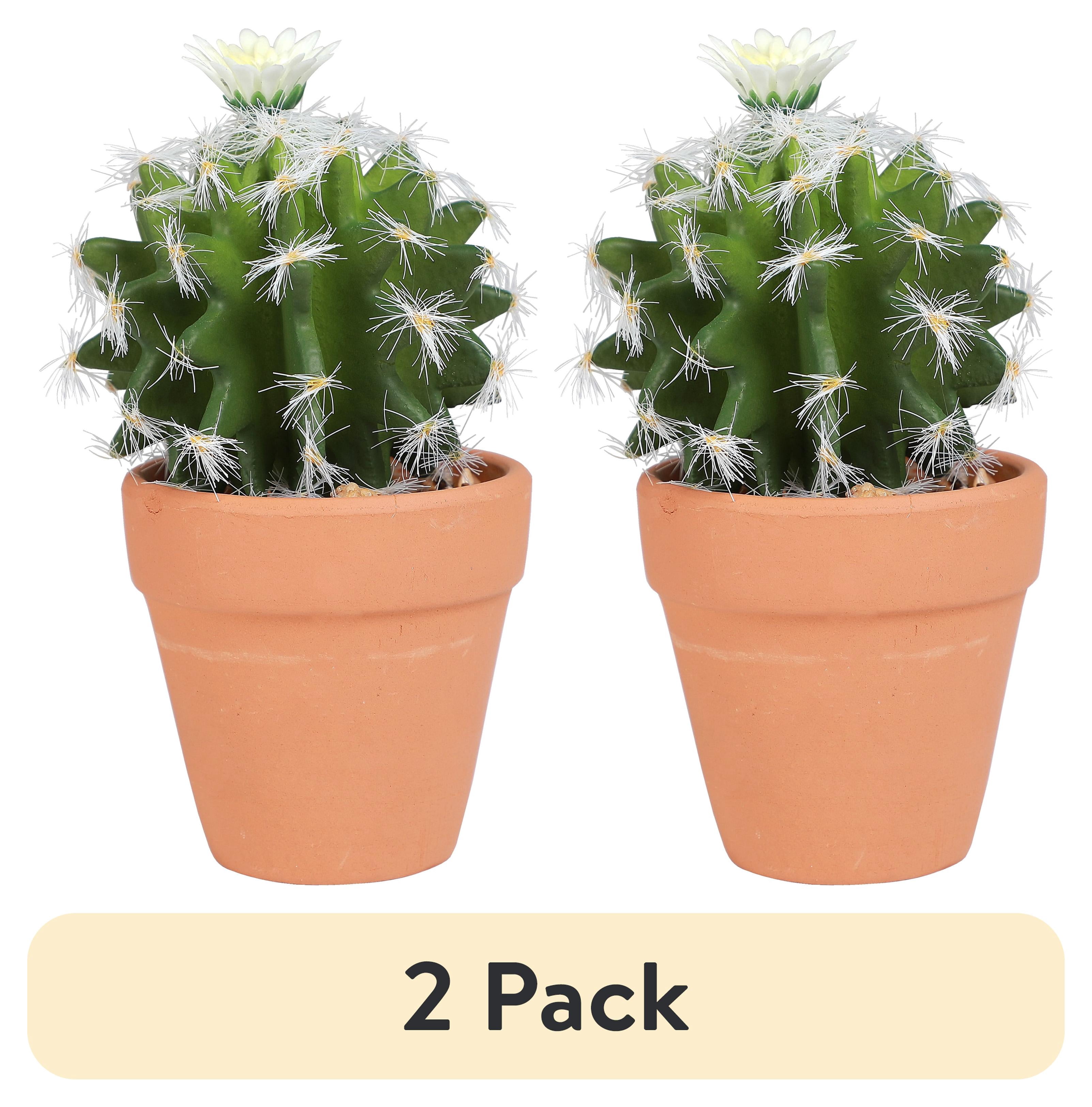 (2 pack) Mainstays 5.23