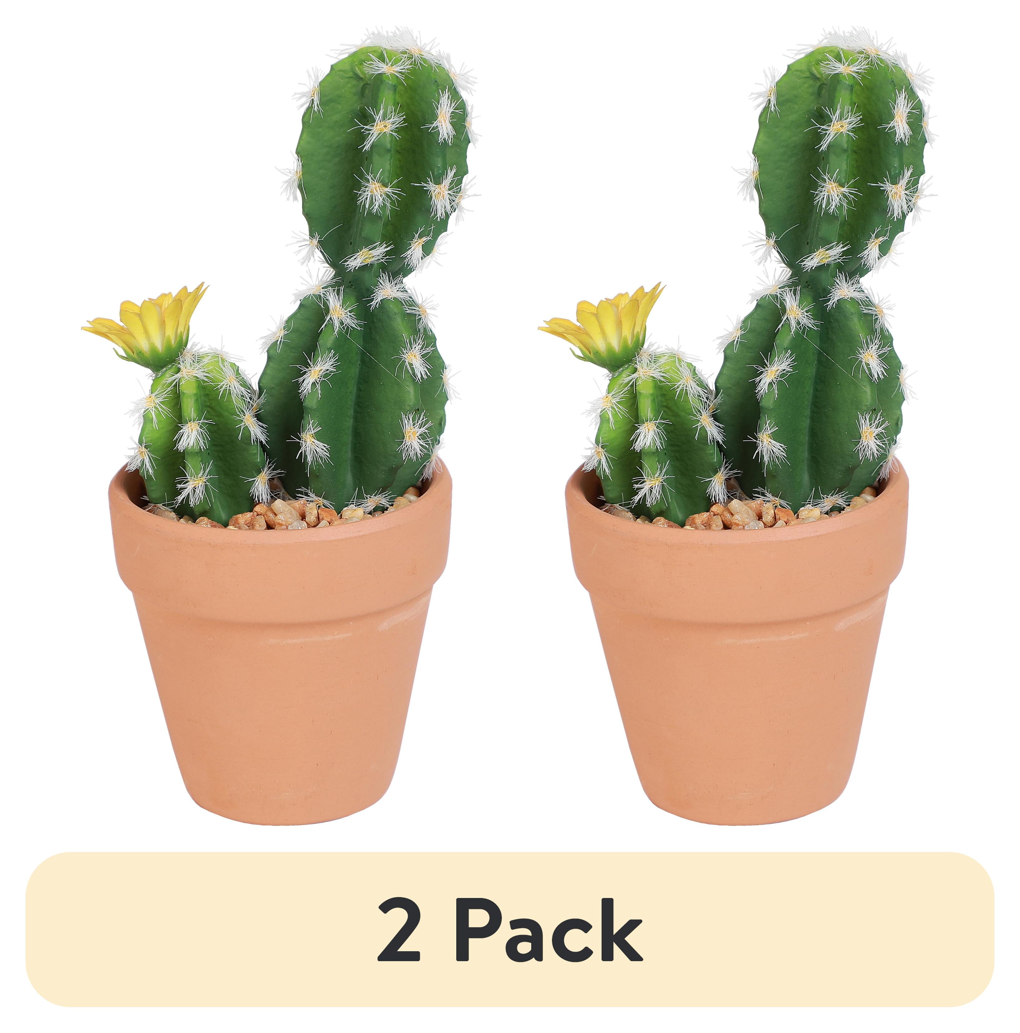 (2 pack) Mainstays 5.7