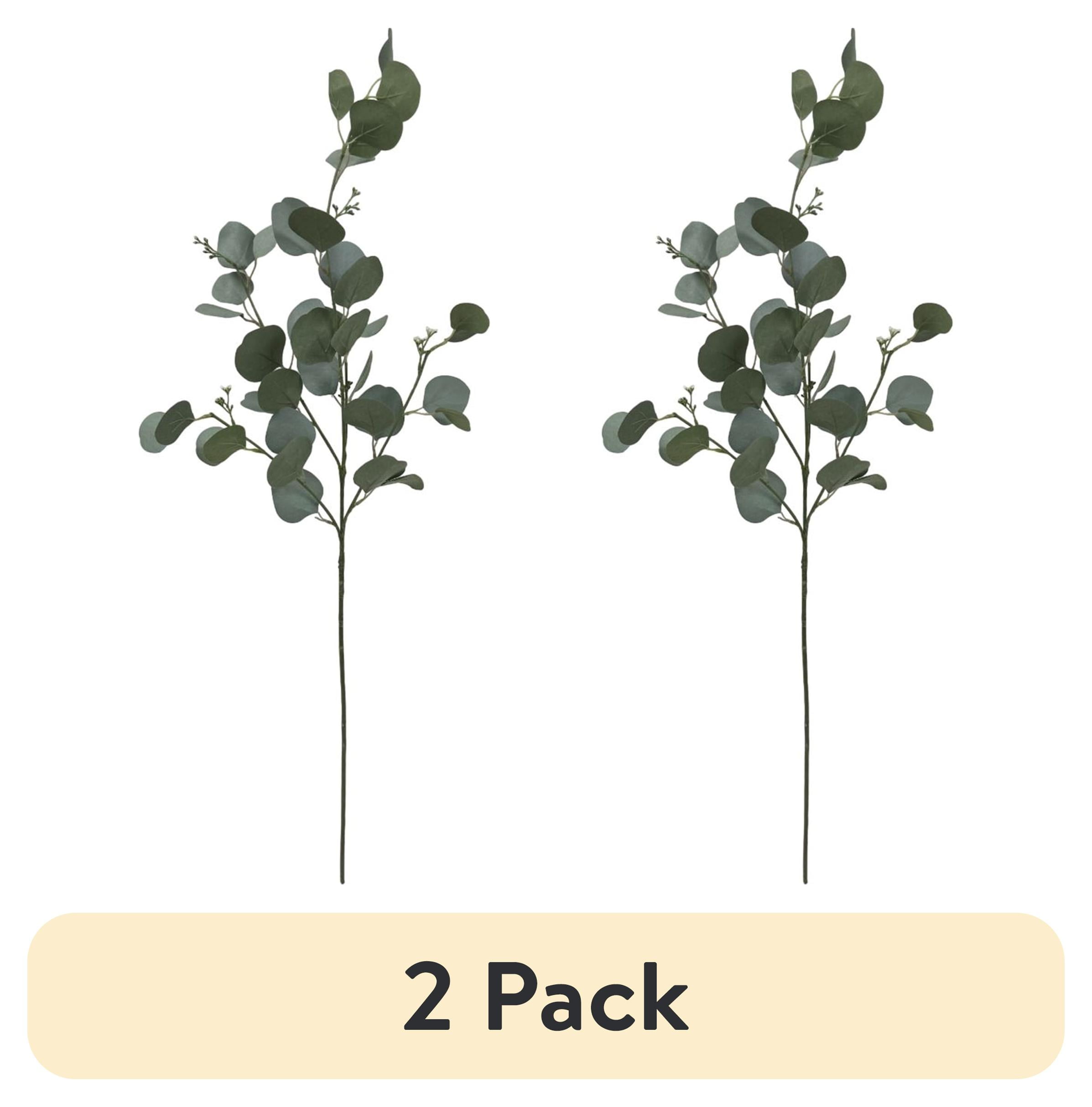 (2 pack) Mainstays Artificial Green Round Leaf Eucalyptus Stem, 34in ...
