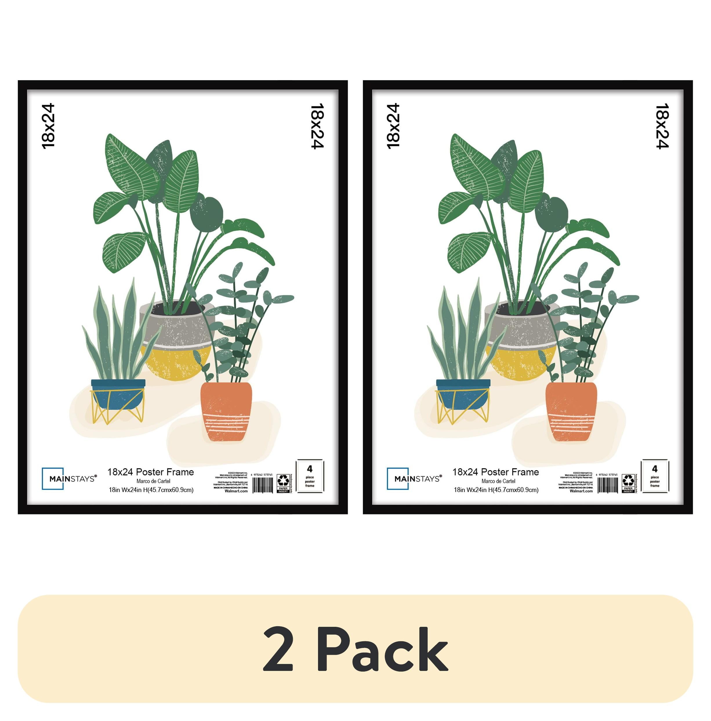 (2 pack) Mainstays 18" x 24" Basic Black Poster Frame - Walmart.com