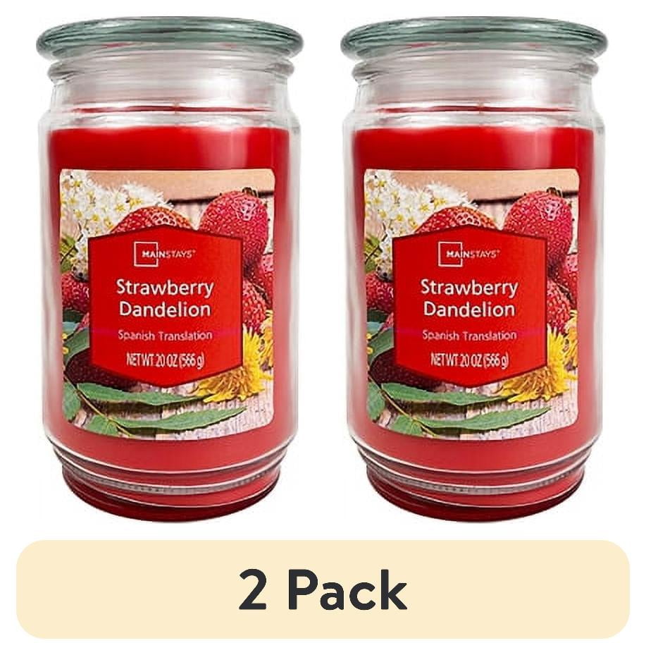 (2 pack) Mainstays Single Wick Jar Candle, Strawberry Dandelion, 20 oz ...