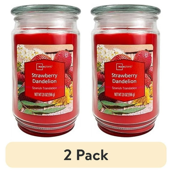 (2 pack) Mainstays Single Wick Jar Candle, Strawberry Dandelion, 20 oz ...