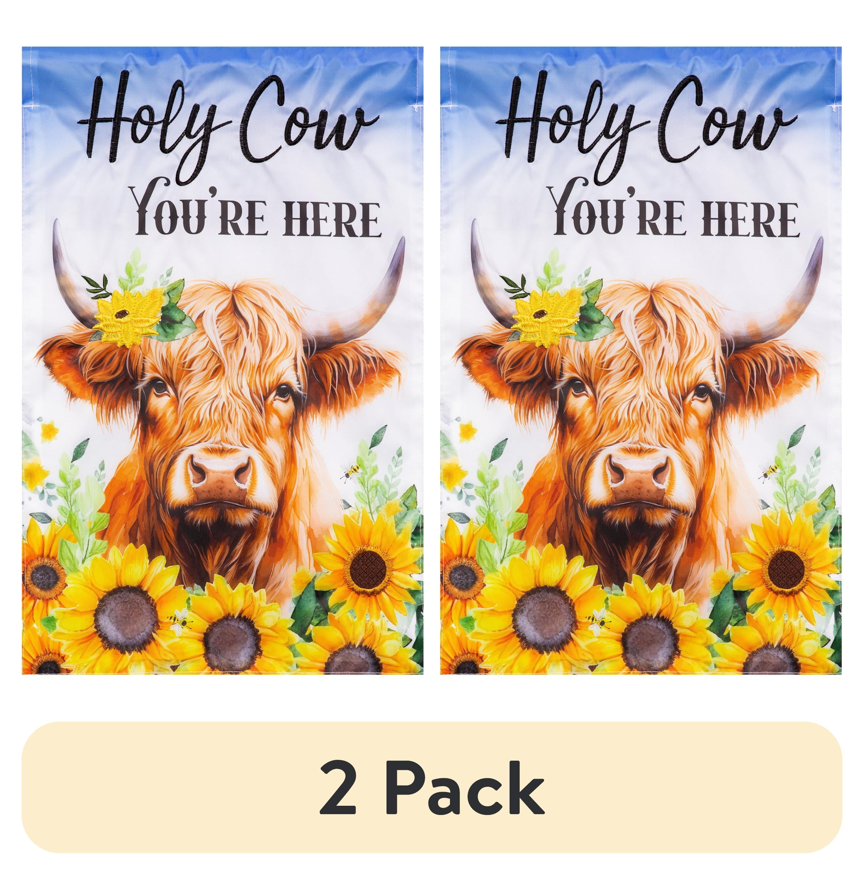 (2 pack) Meadow Creek 11.5" x 18" Holy Cow You're Here Highland Cow ...