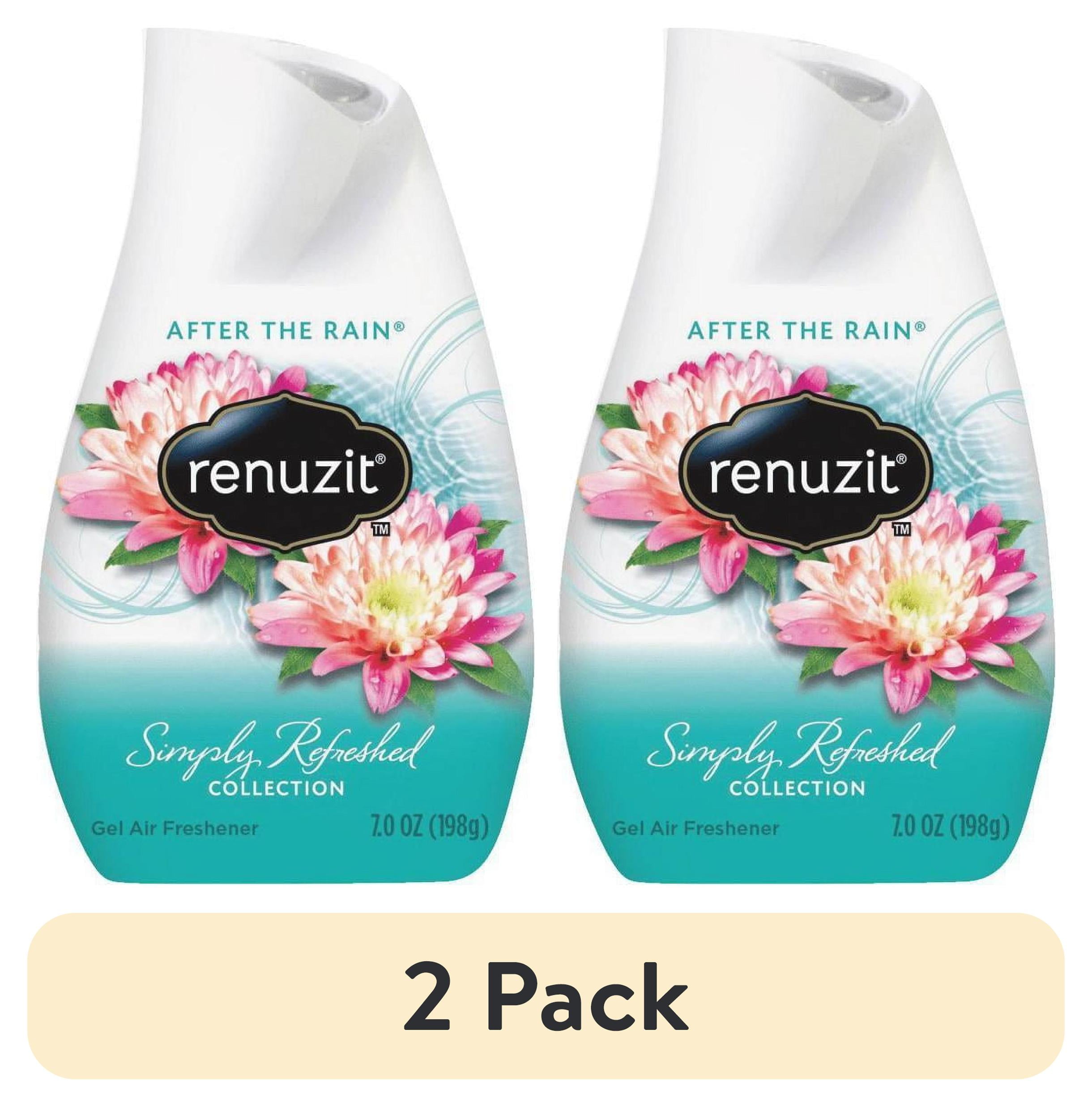 (2 pack) Merchandise 3184021 Renuzit Adjustables Air Freshener, After ...