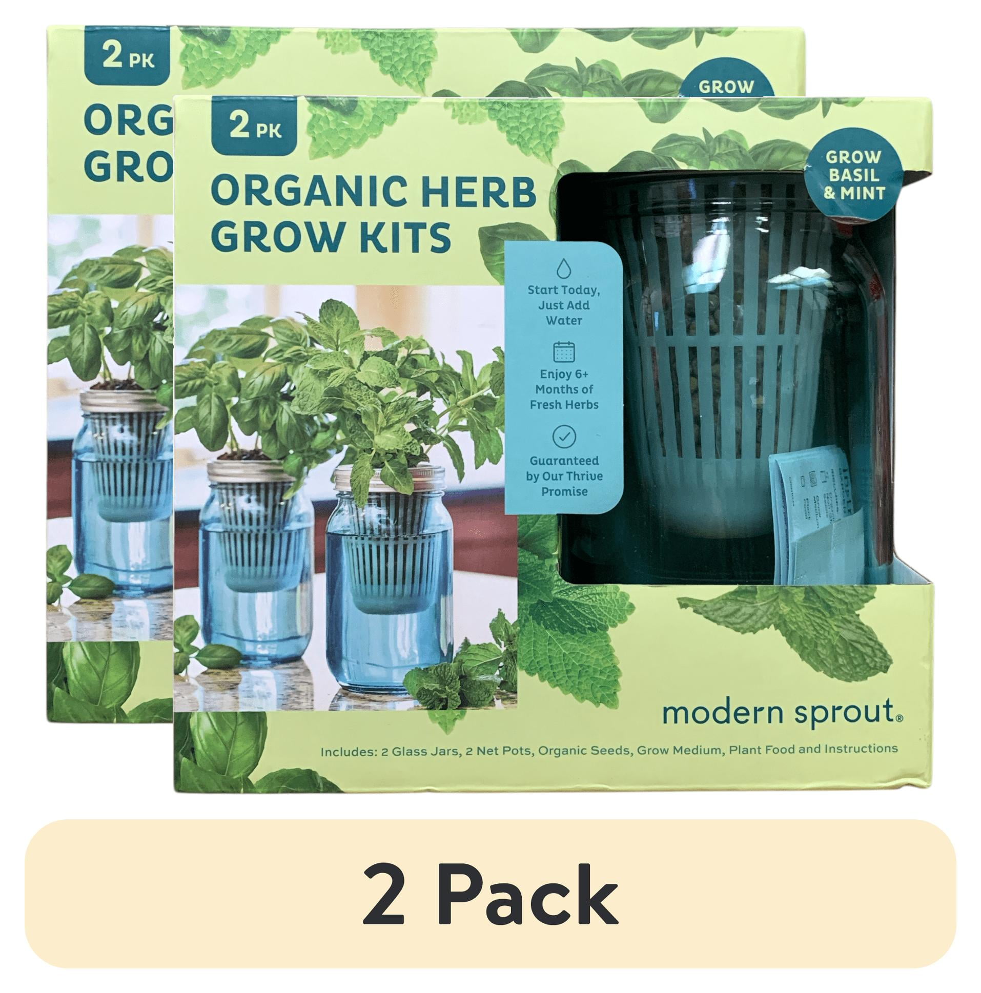 (2 pack) Modern Sprout’s Organic Herb Grow Kit 2pk - Walmart.com