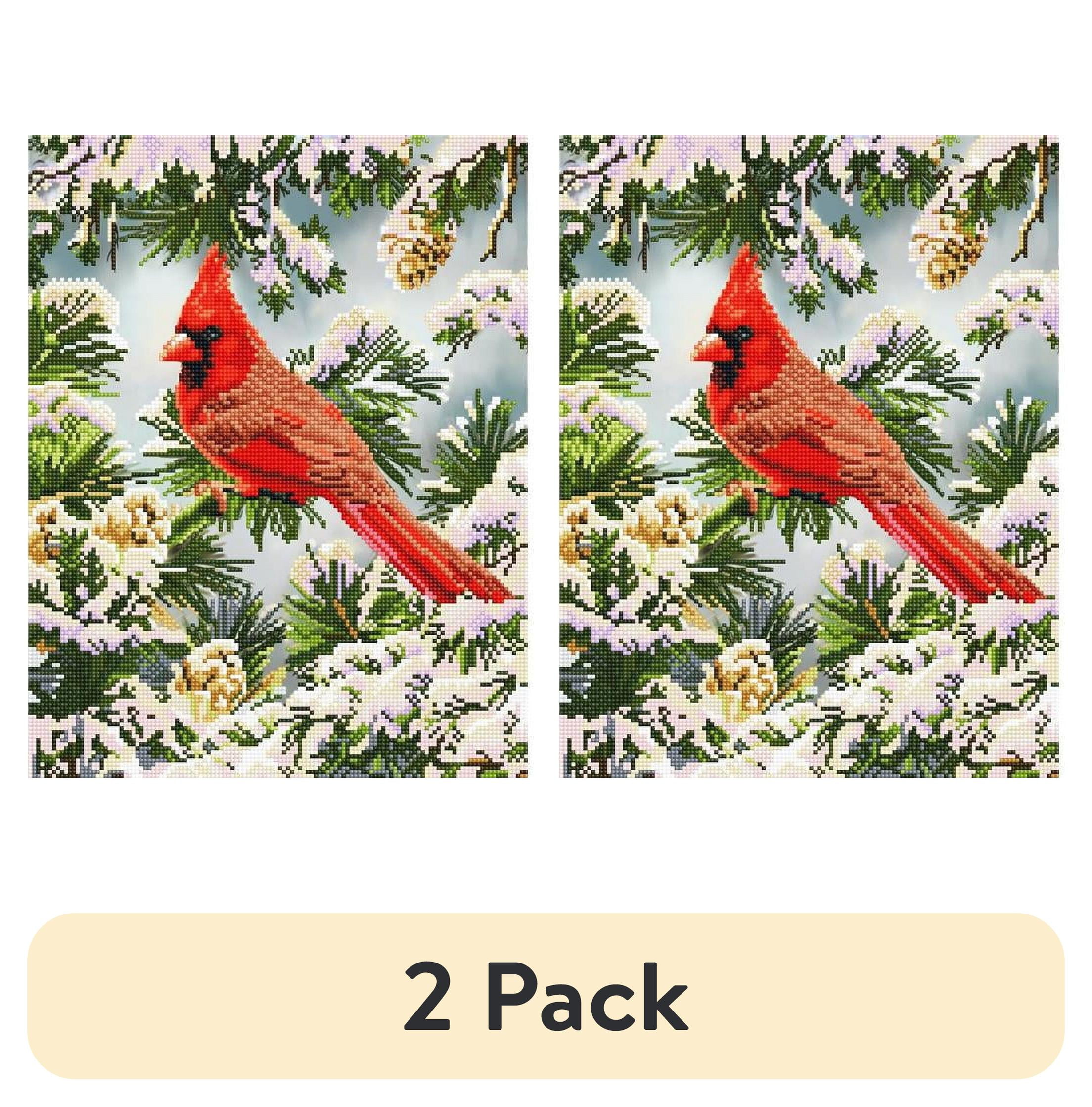 (2 pack) Needleart World DD7034 14.6 x 18.5 in. Diamond Dotz Embroidery ...