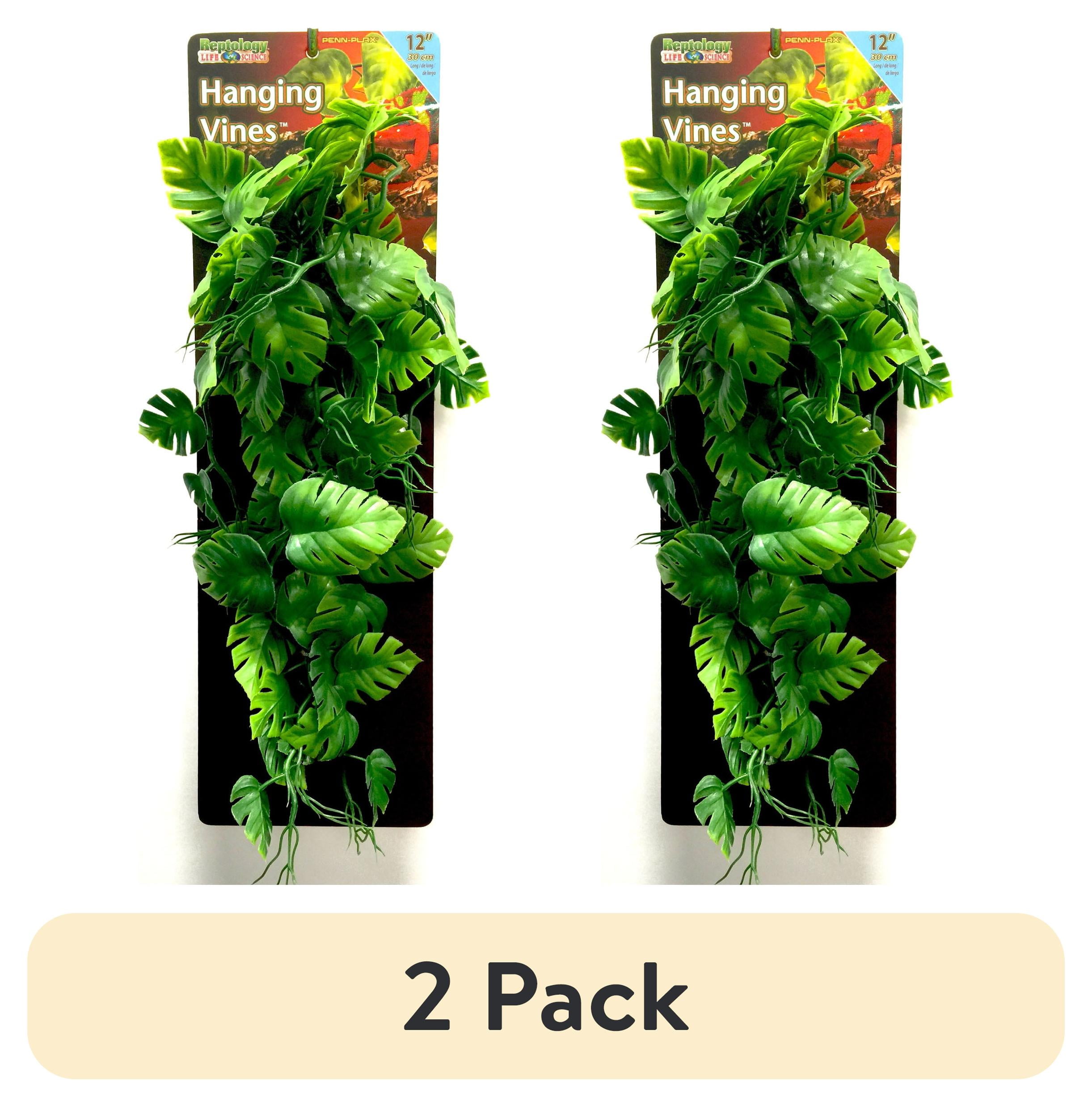 (2 pack) Penn-Plax Reptology Plastic Hanging Vines for Reptiles – 12 ...