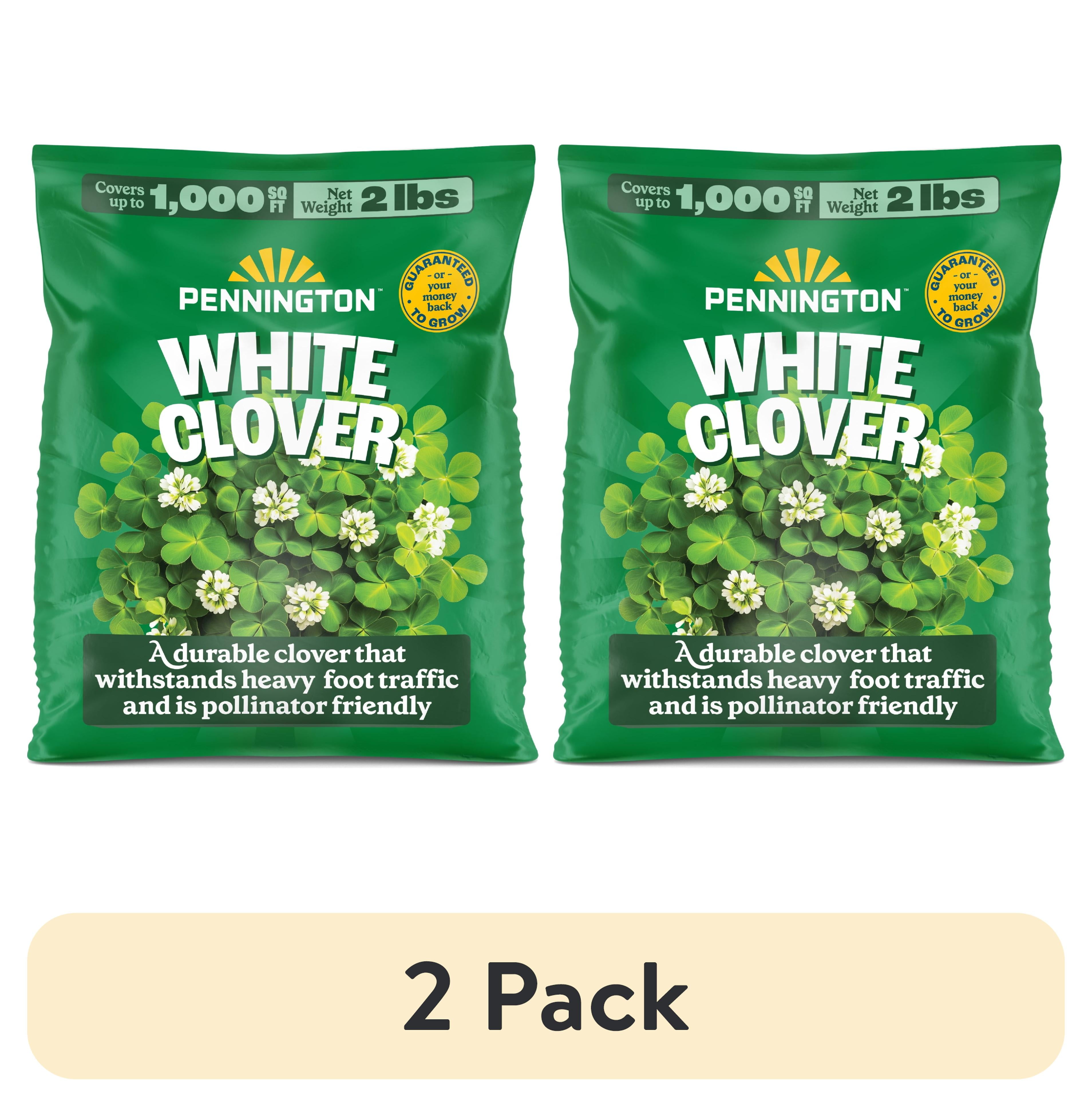 (2 pack) Pennington White Clover Seed, 2lb - Walmart.com