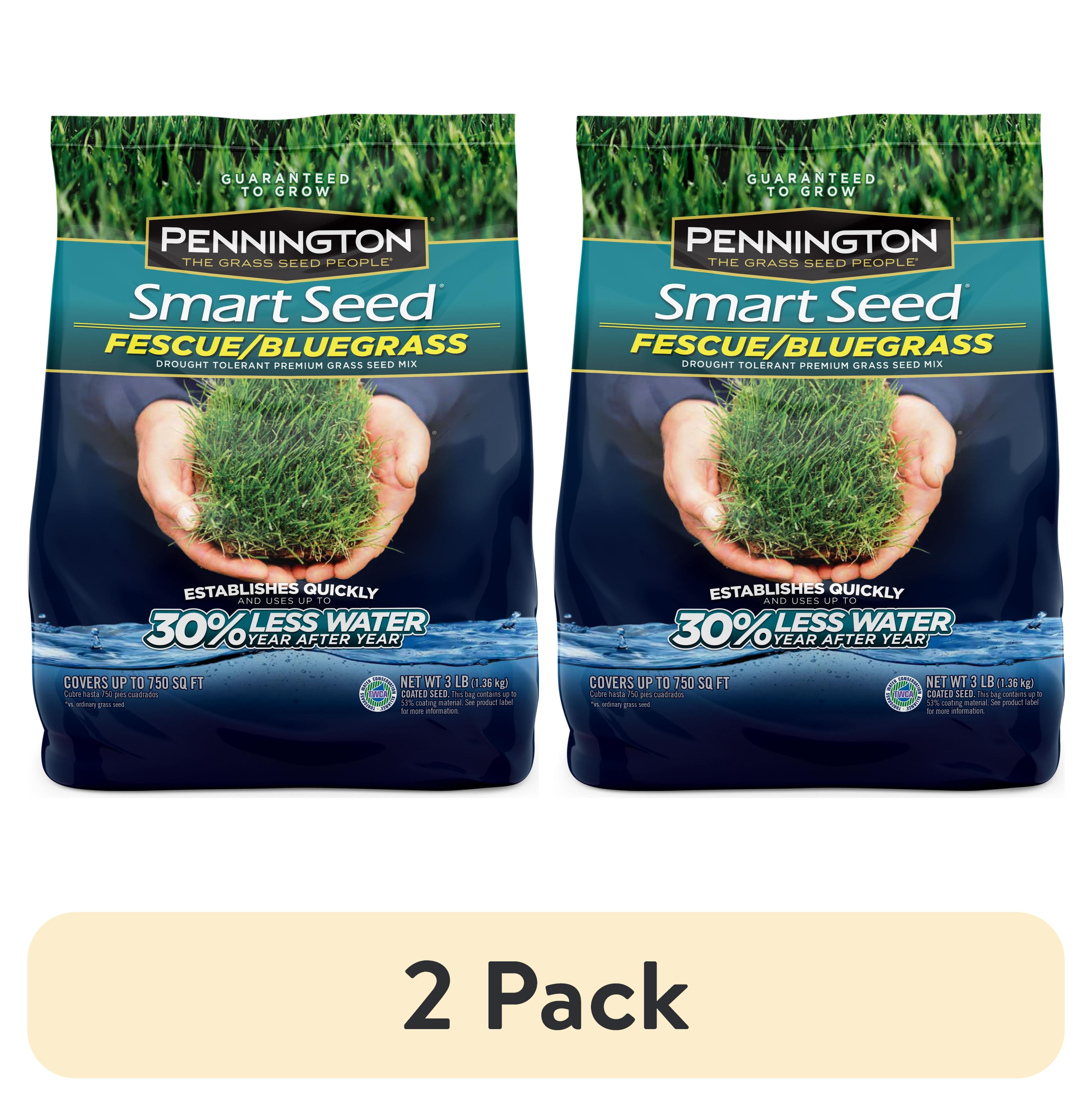(2 pack) Pennington Kentucky Blue Grass Seed, Sun to Partial Shade, 3 ...