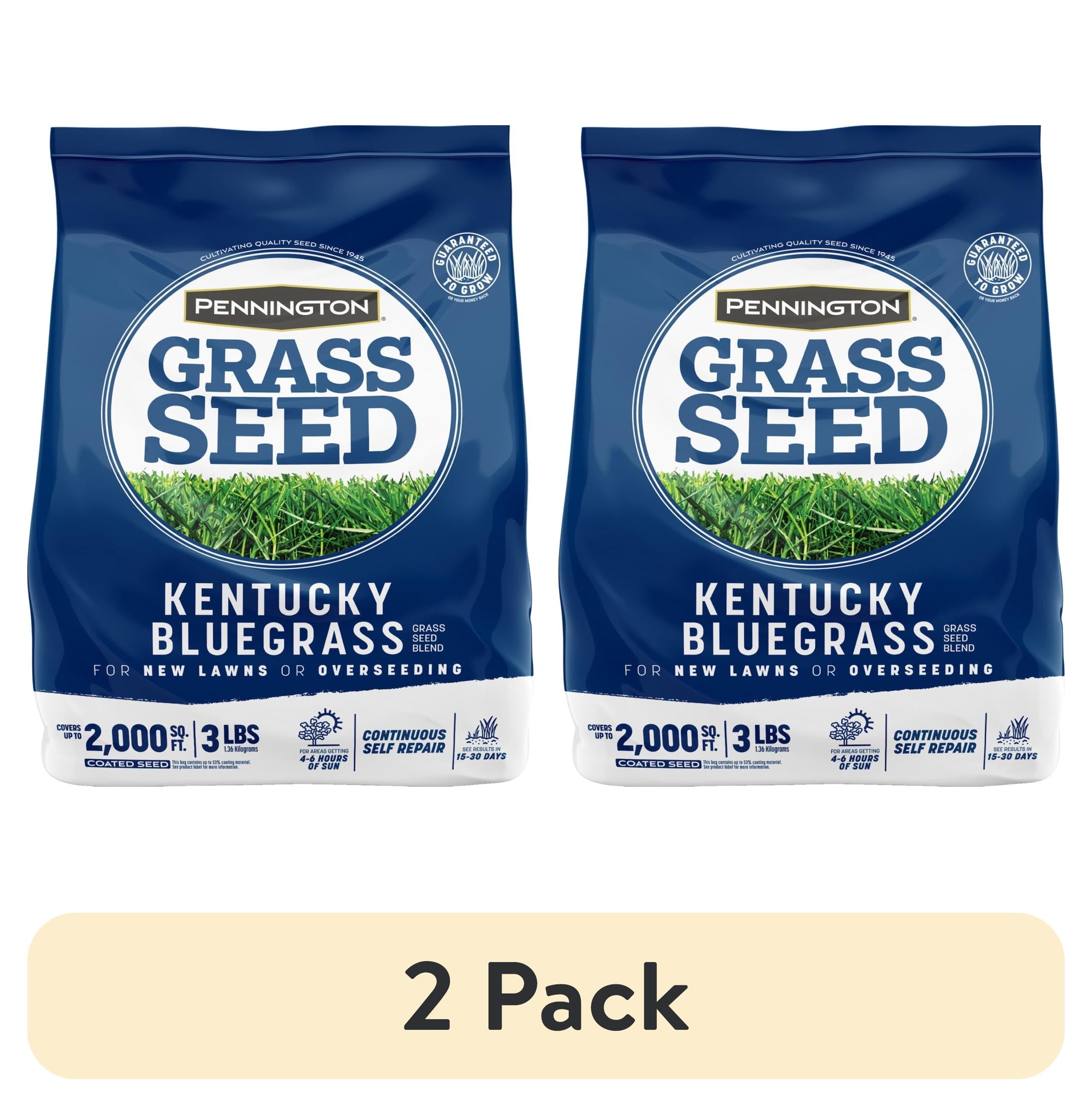 (2 pack) Pennington Kentucky Bluegrass Northern Grass Seed Mix for Sun ...