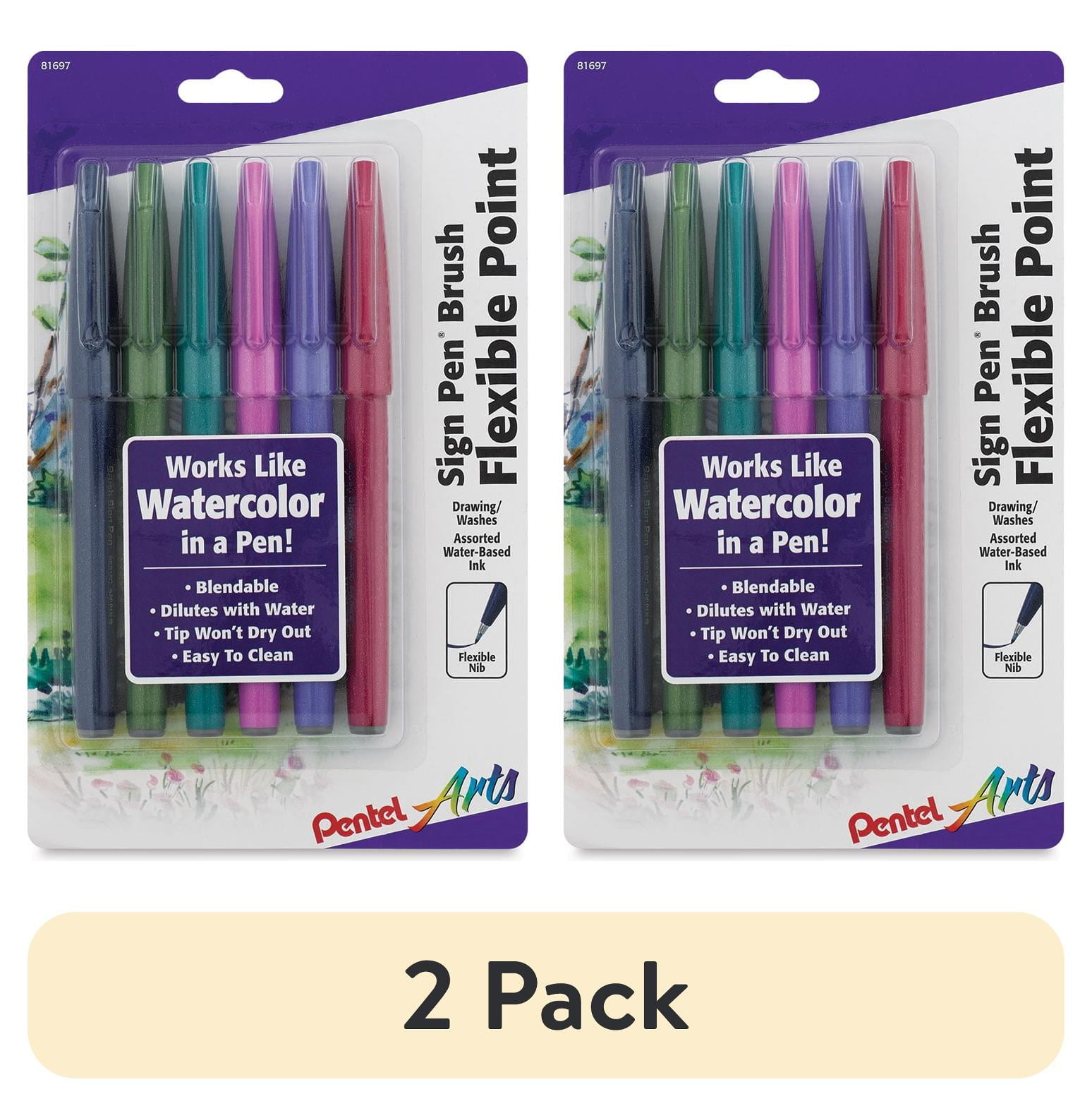 (2 pack) Pentel Arts Brush Tip Sign Pens - Jewel Colors, Set of 6 ...