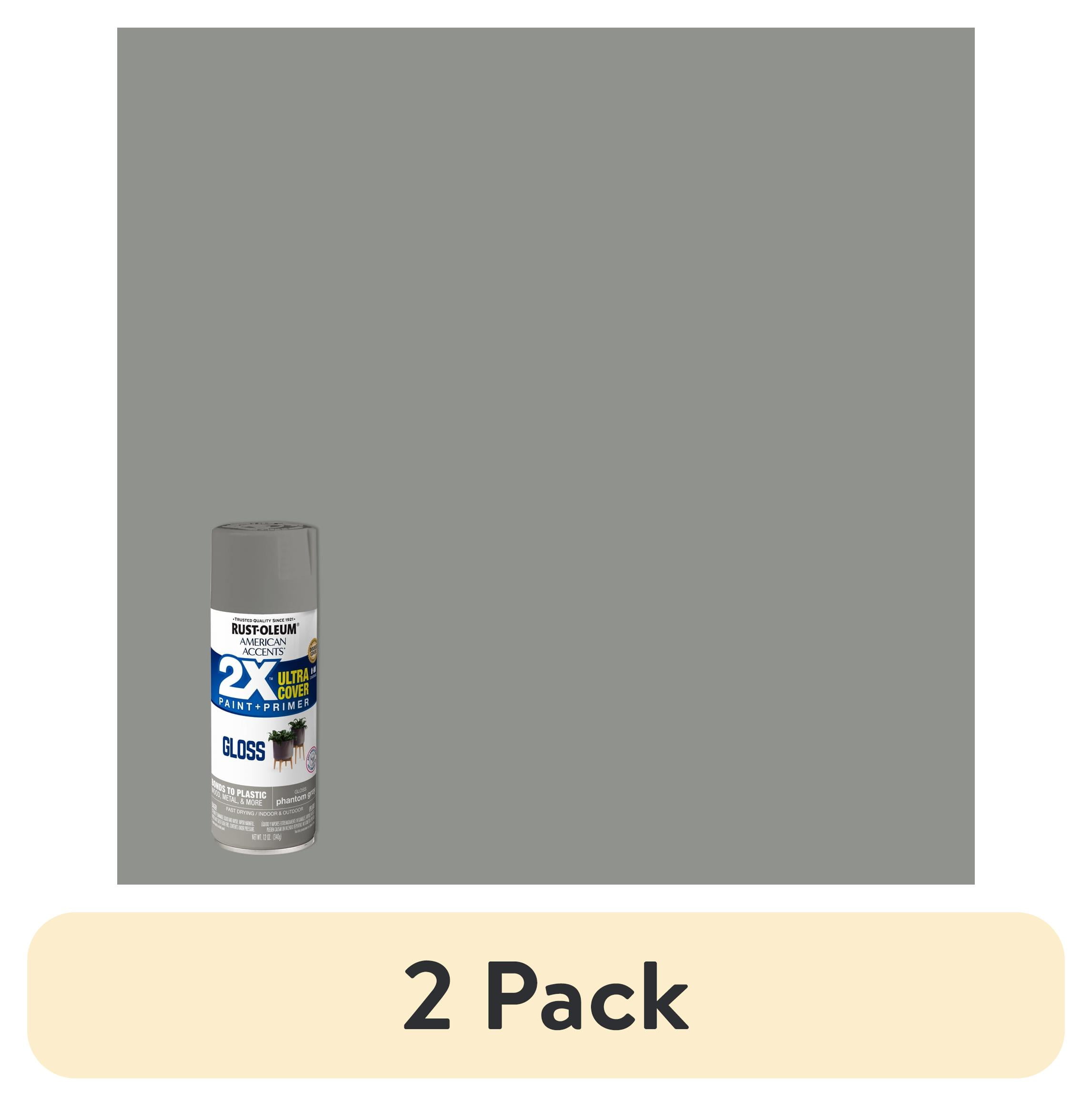 (2 pack) Phantom Gray, Rust-Oleum American Accents 2X Ultra Gloss Spray ...