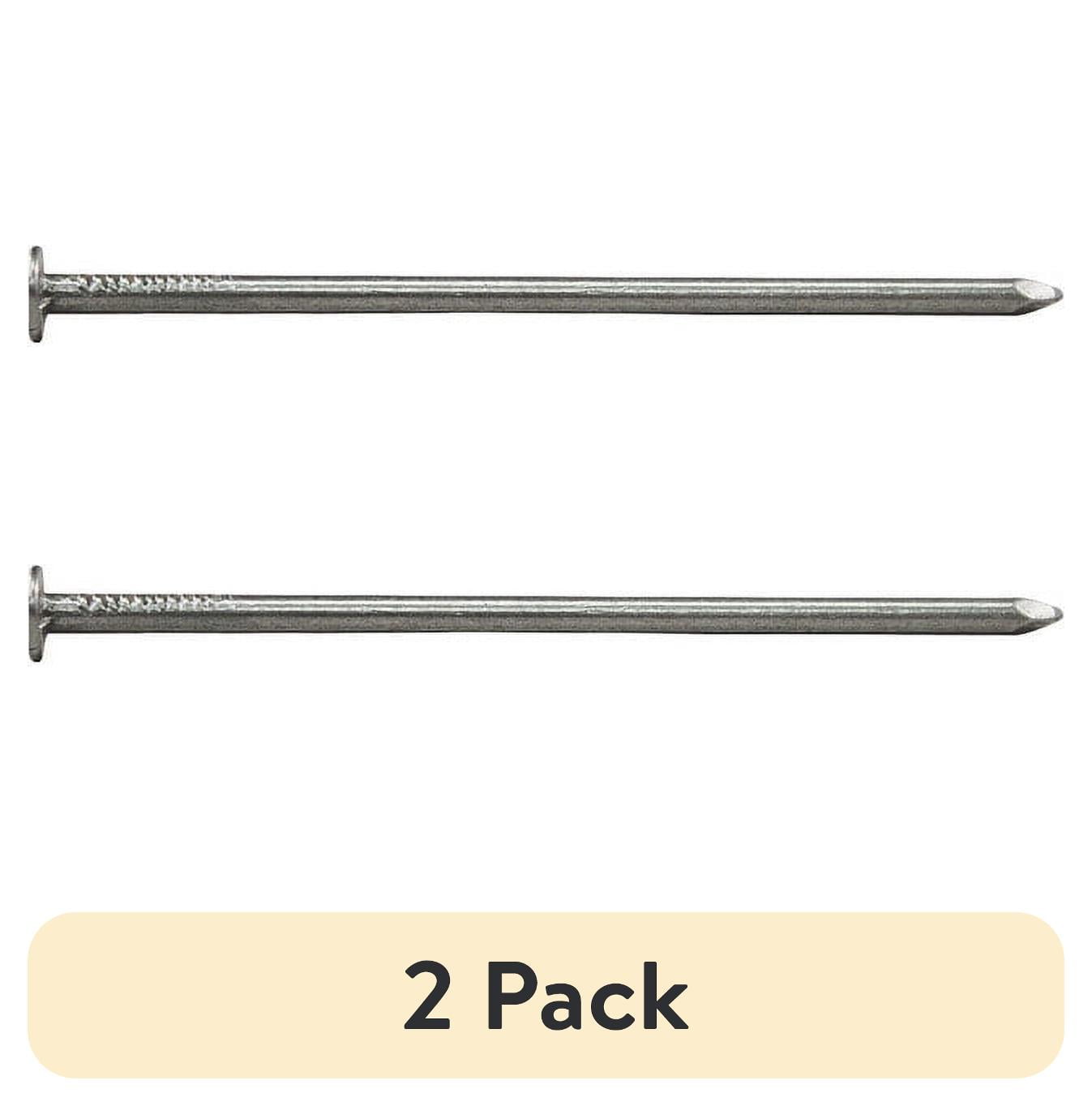 (2 pack) Pro-Fit 2-1/2 in. Box Bright Steel Nail Flat Head 1 lb ...