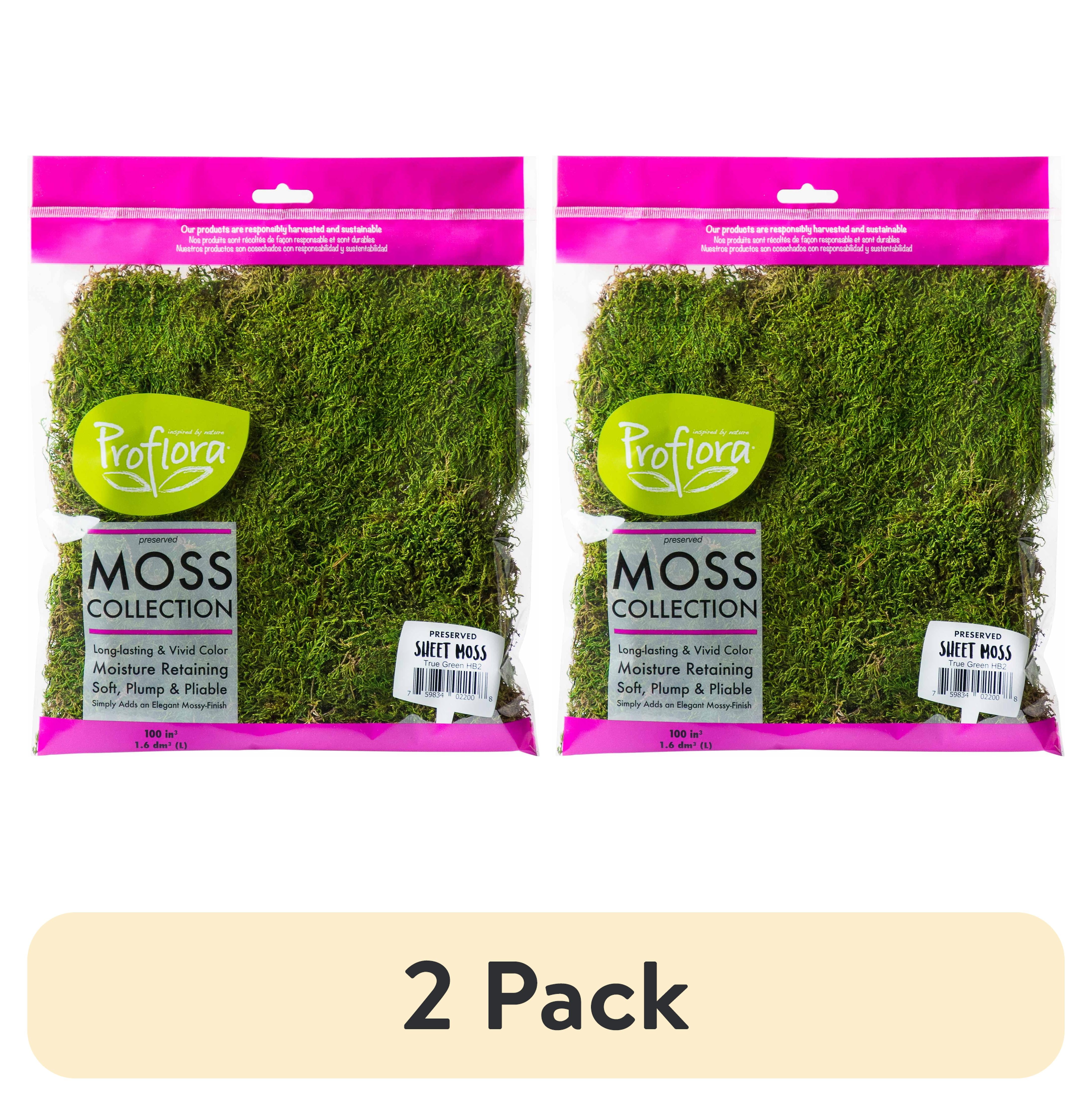 (2 pack) ProFlora Green True Moss Sheet, 2oz Floral Arranging Supplies ...