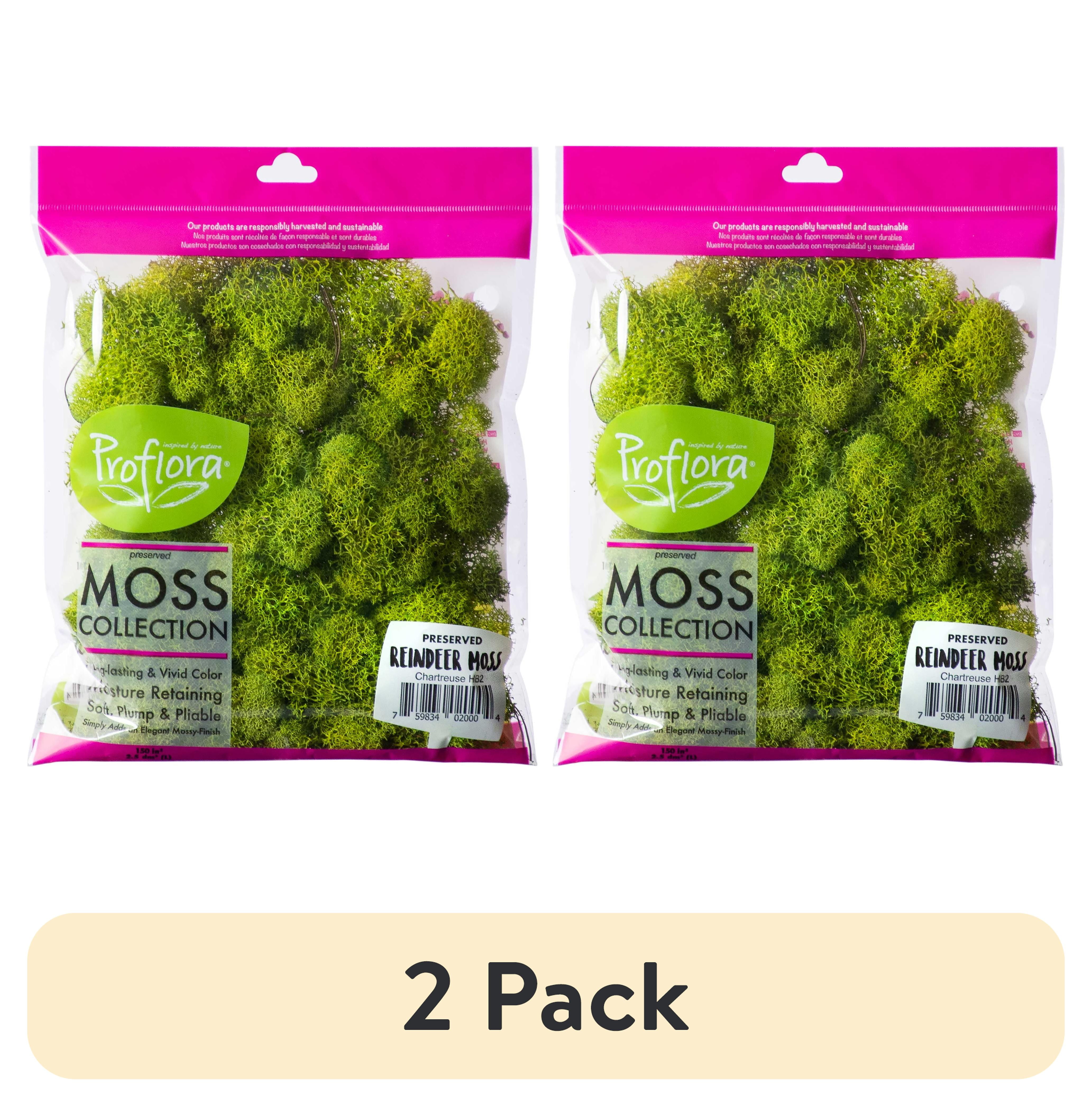(2 pack) ProFlora Preserved Reindeer Moss, Chartreuse Green - Walmart.com