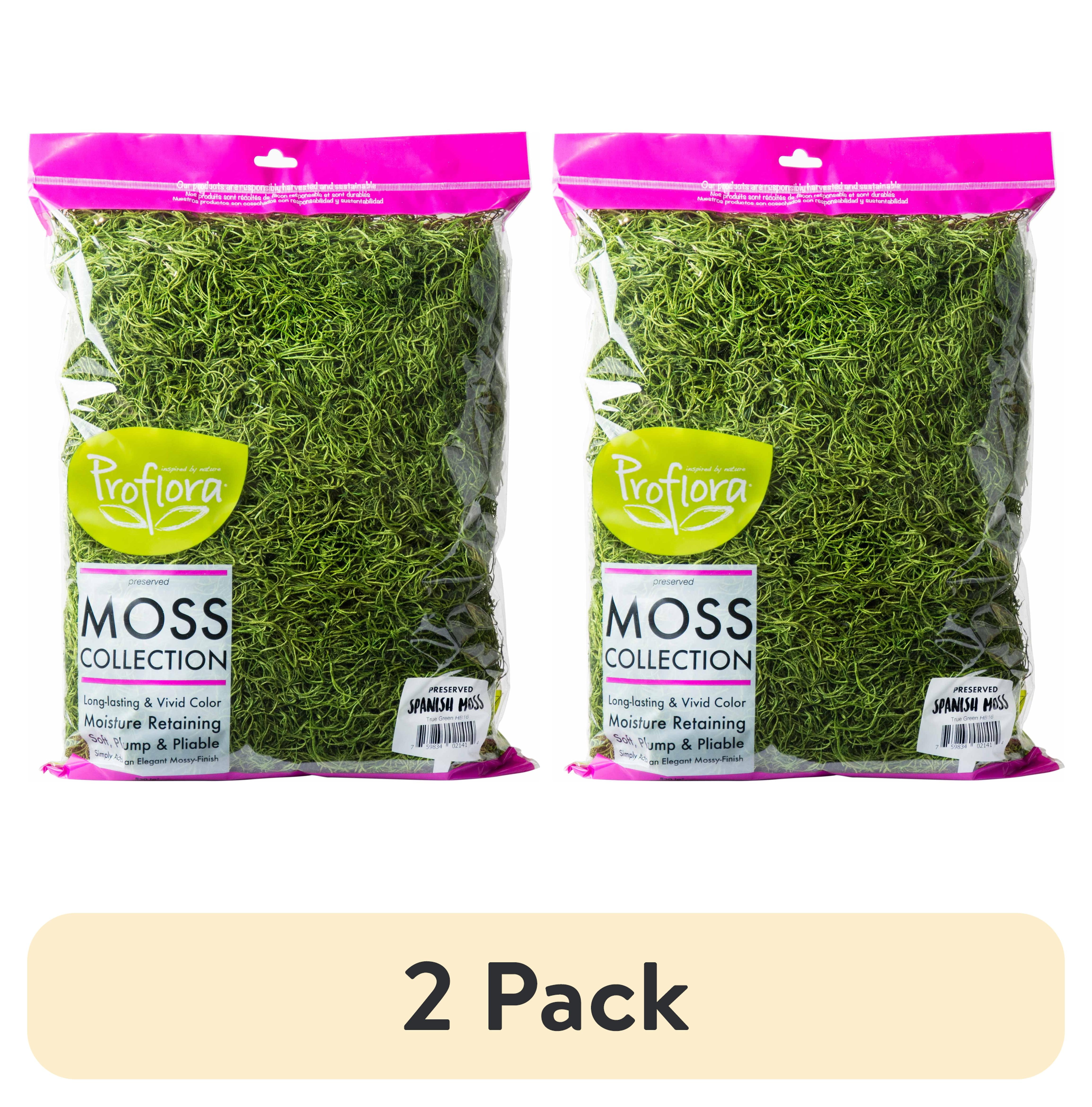 (2 pack) ProFlora Spanish Moss True Green, 16oz Floral Arranging ...